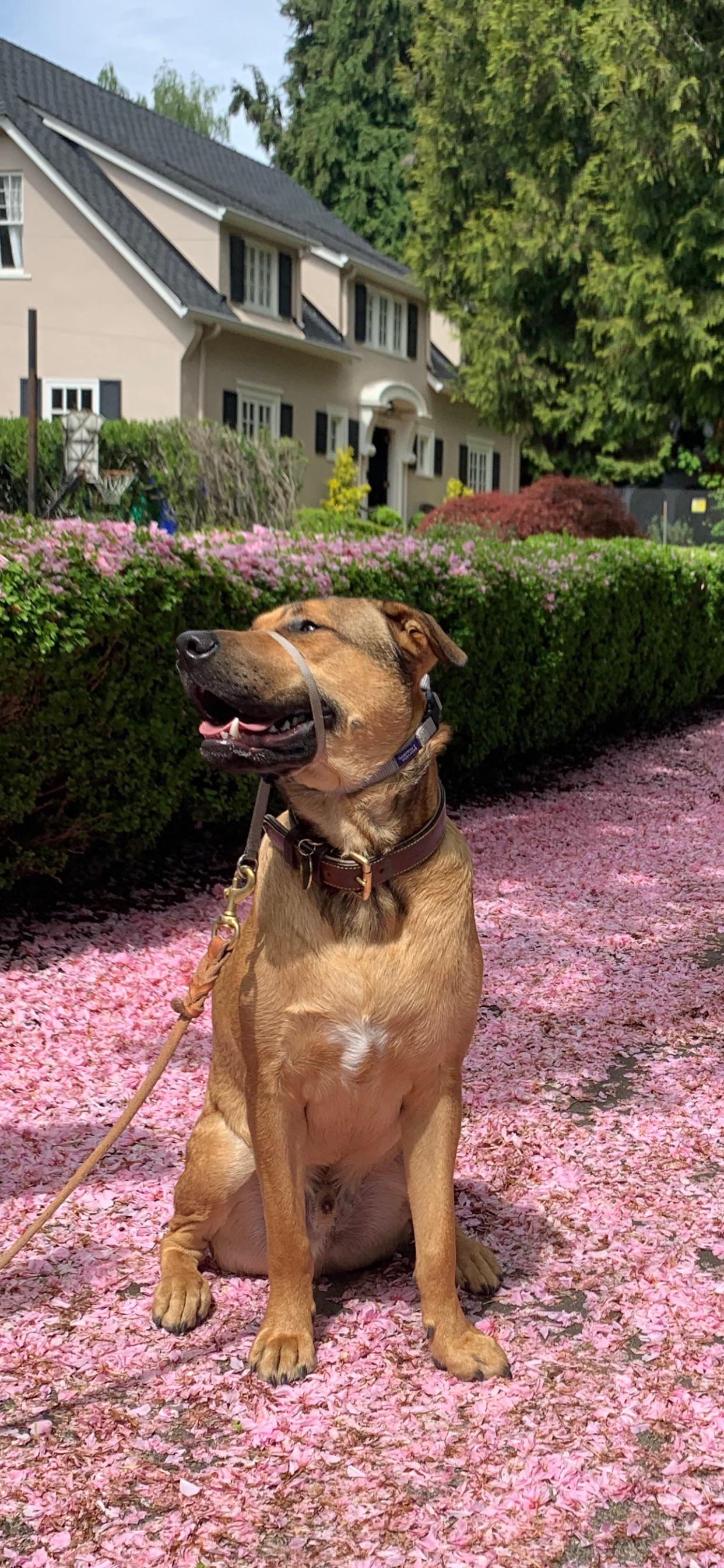 We did the Thing. | Scrolller