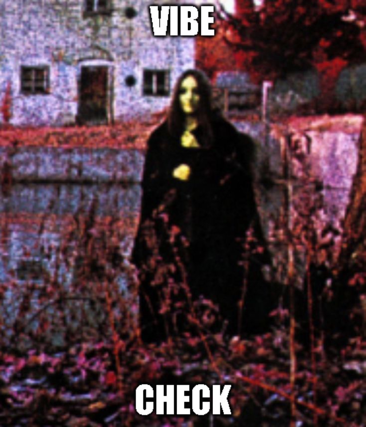 We must check your vibe now | Scrolller