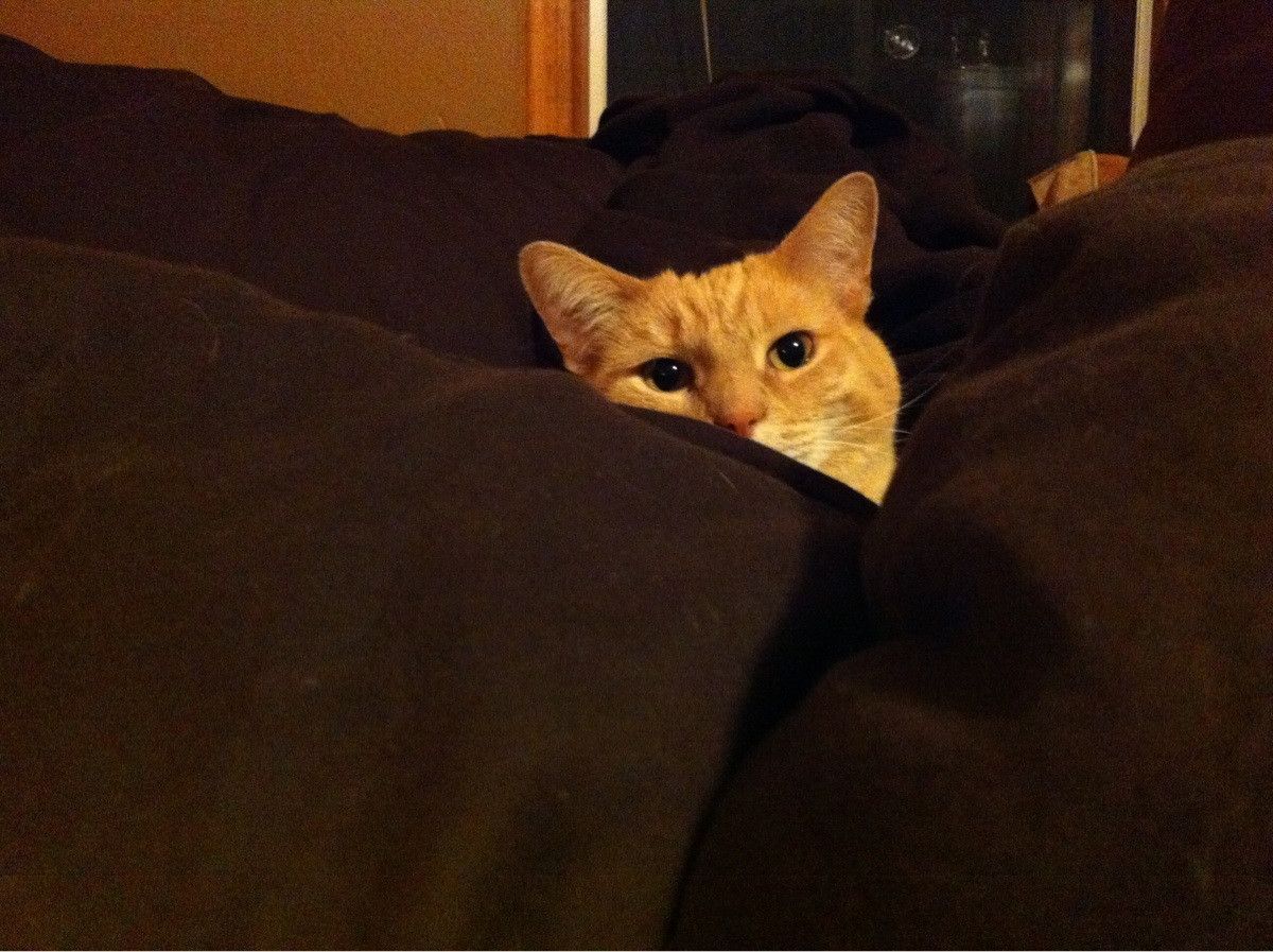 "WE PASS THROUGH THE CHOCOLATE MOUNTAINS" | Scrolller