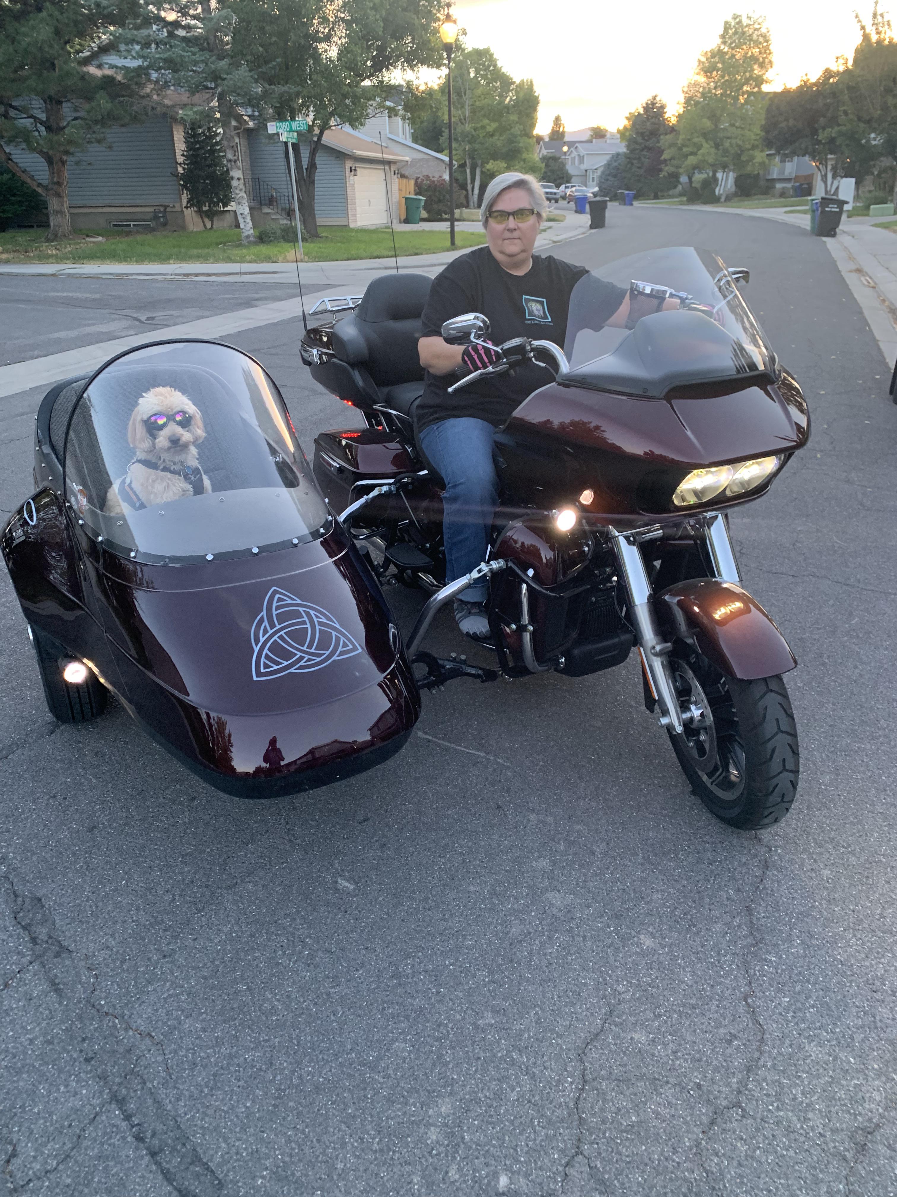 We put my wife on a 2019 Road Glide Ultra. The sidecar is a 2004 California Sidecar we had ...