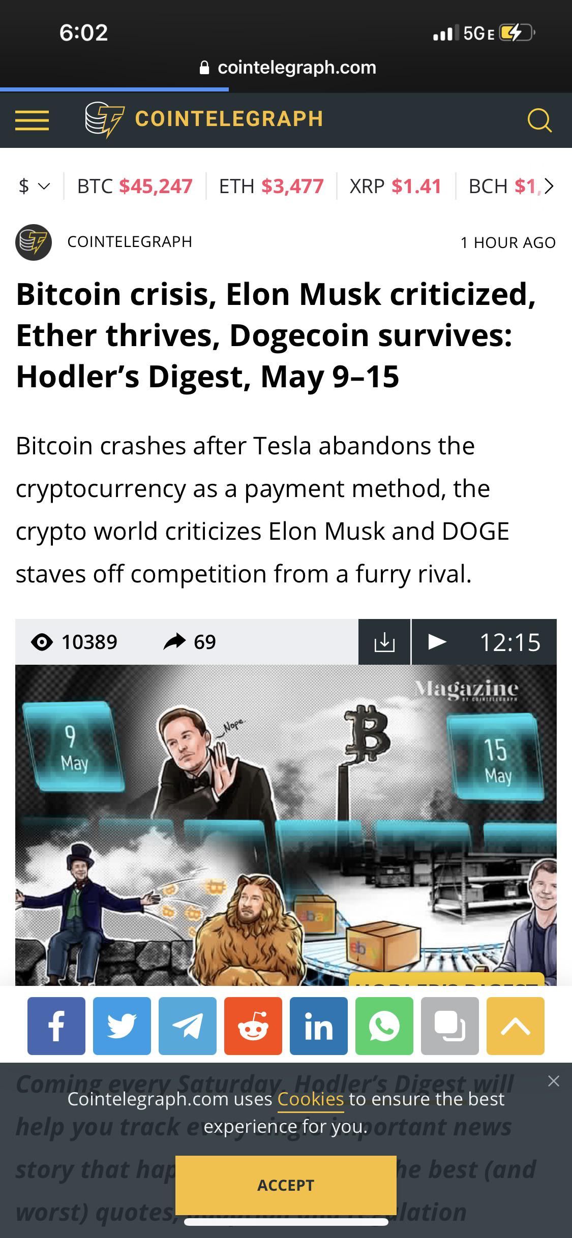 We will win!!!!! | Scrolller