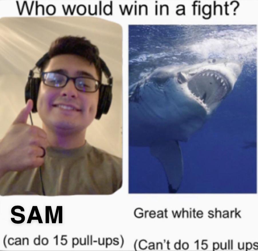 We will win! | Scrolller