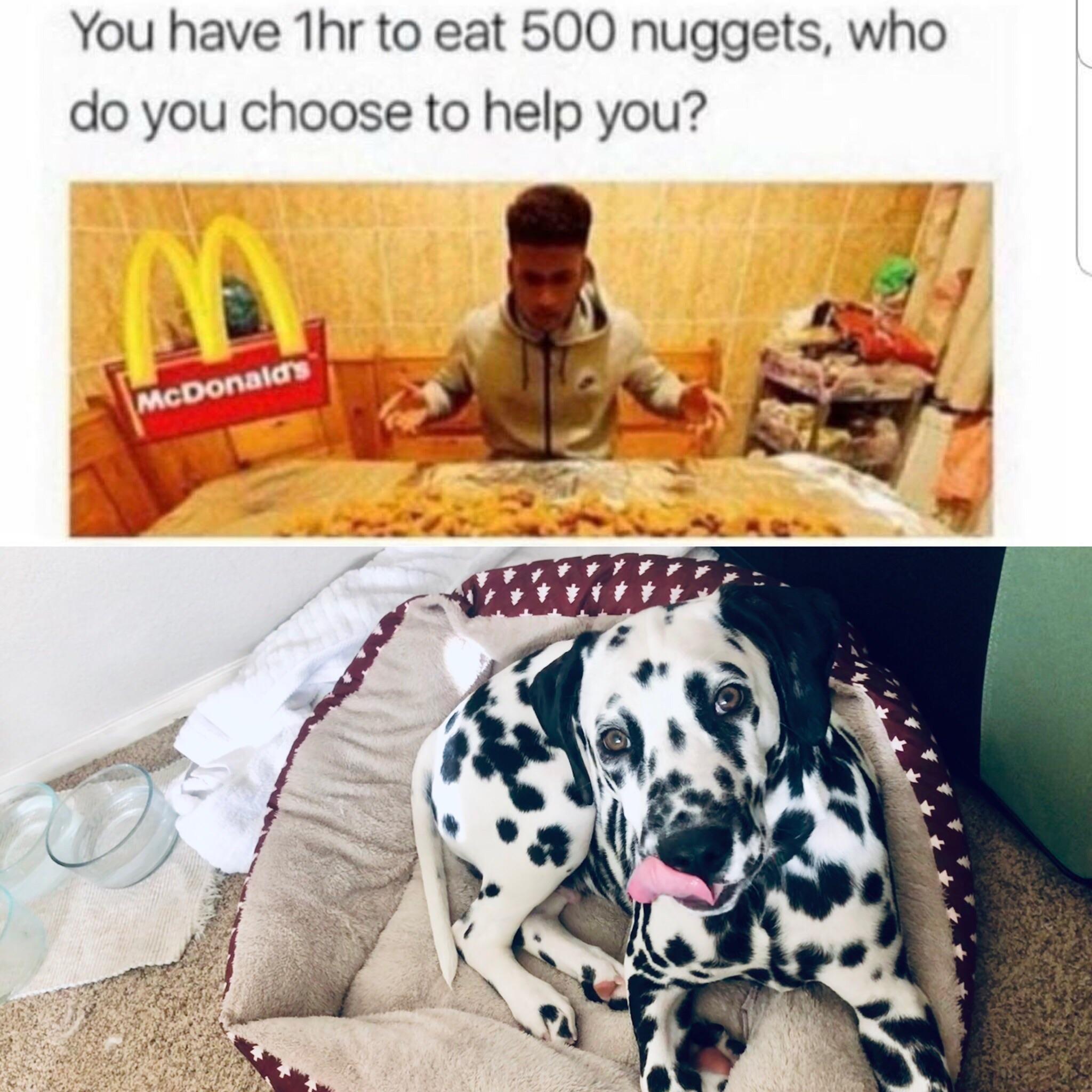 We would set a world record. | Scrolller