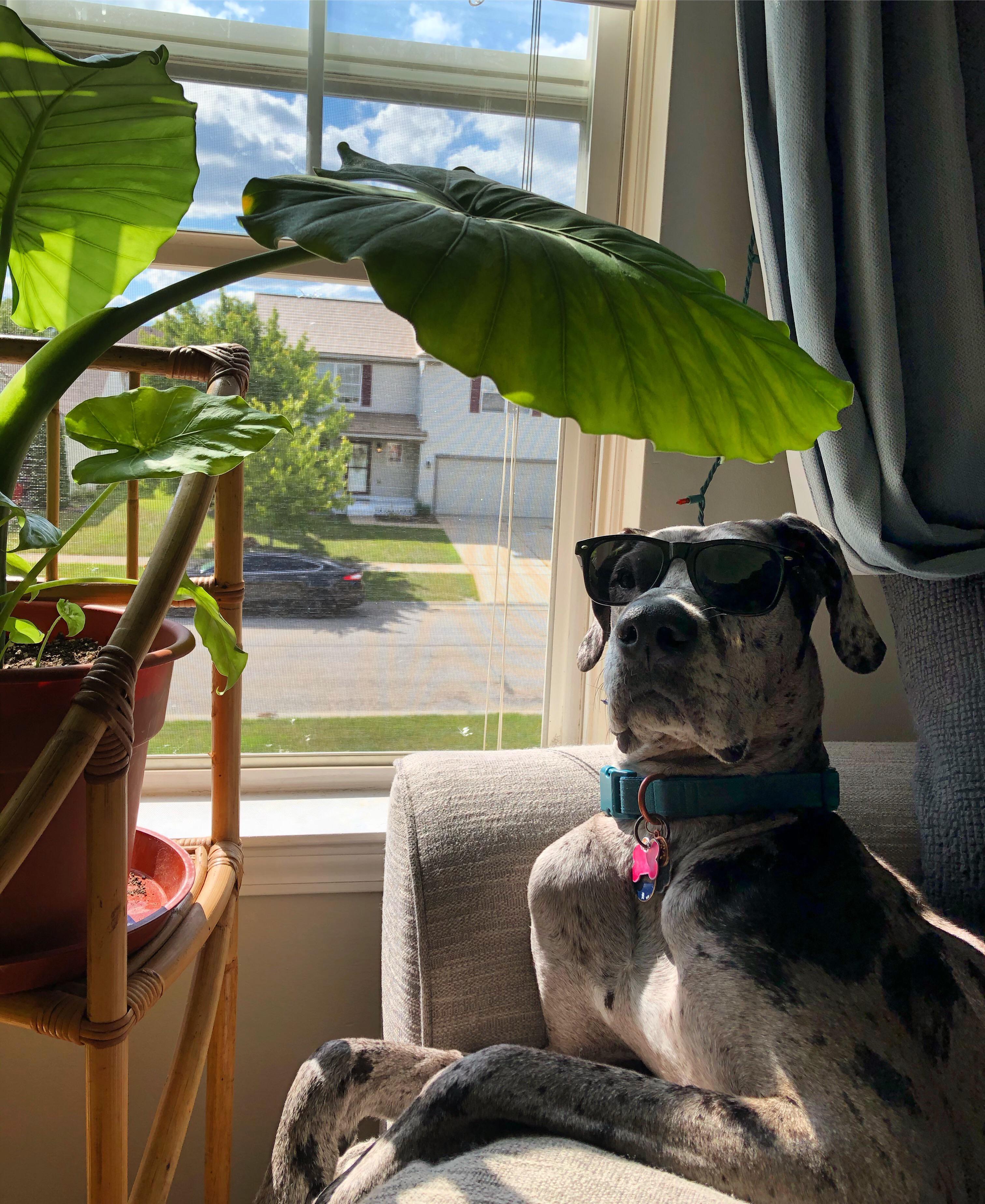 Weekday chillin | Scrolller