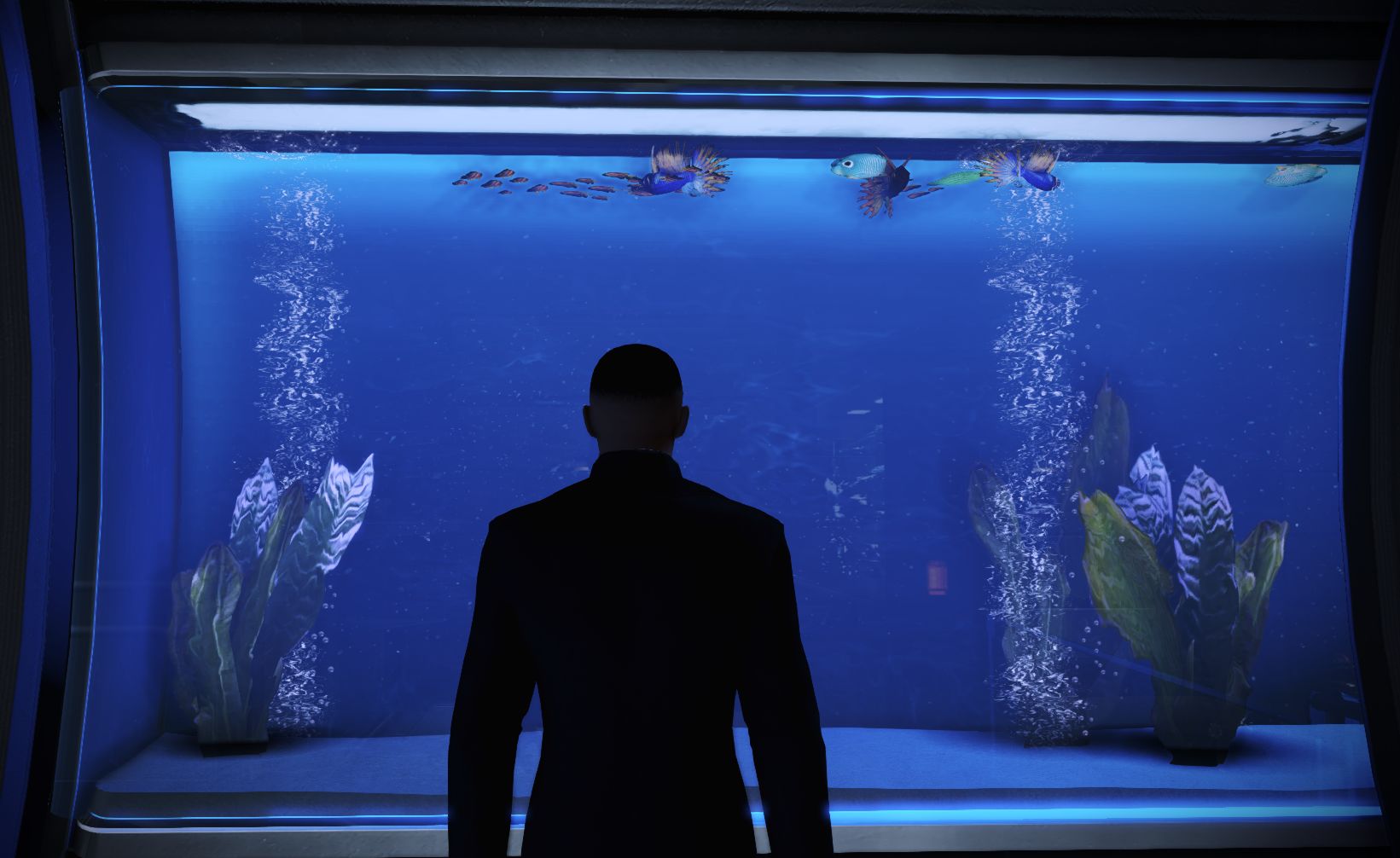 Weird Fishes | Scrolller