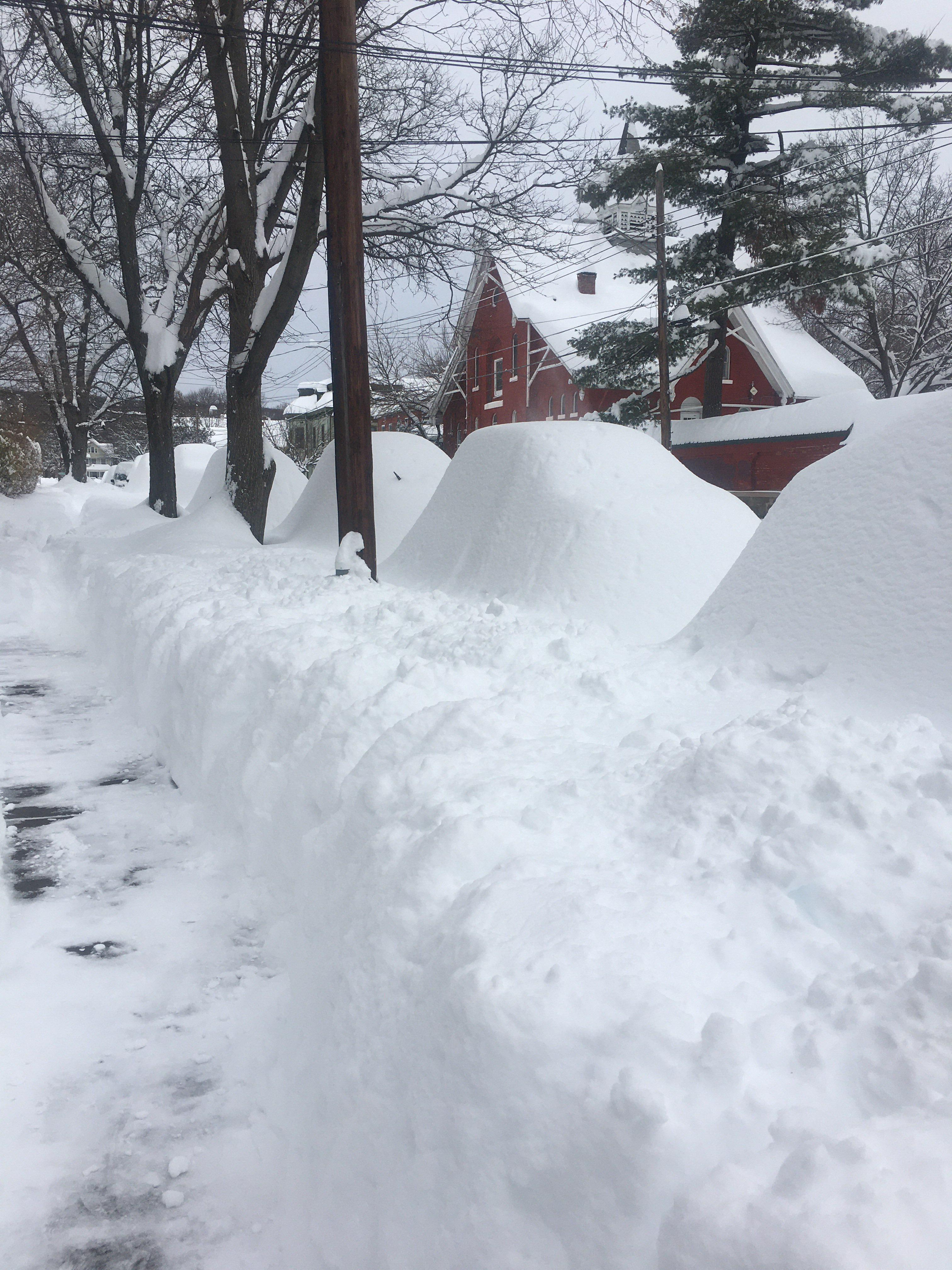Weird lumps growing out of the ground in west side | Scrolller