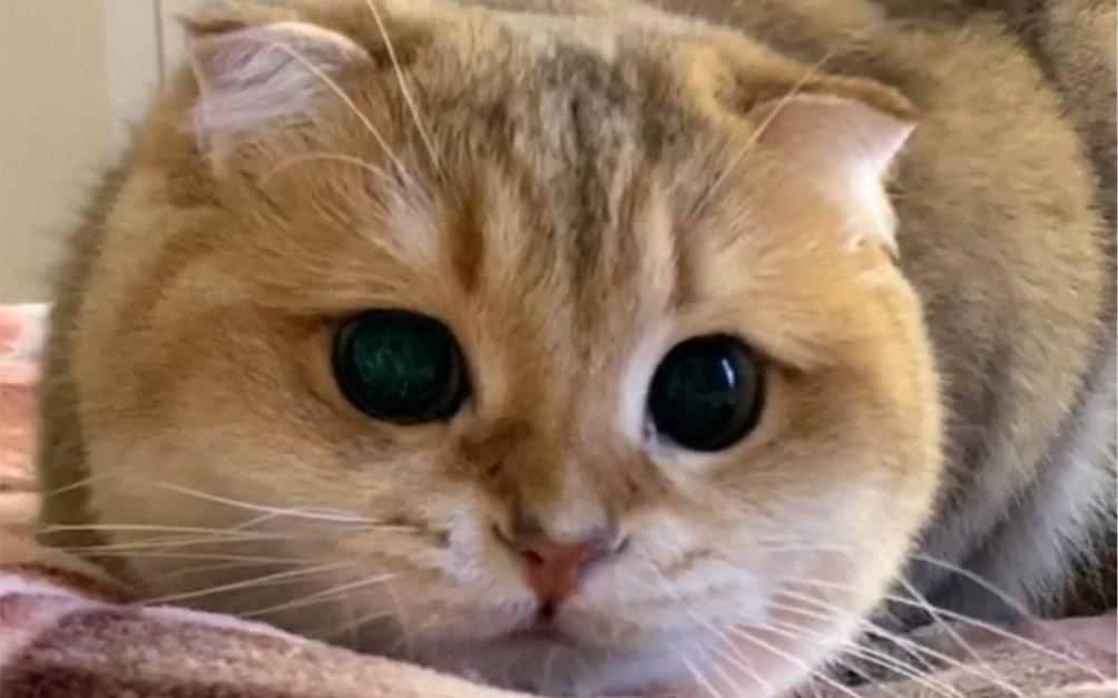 Welcome our new member | Scrolller