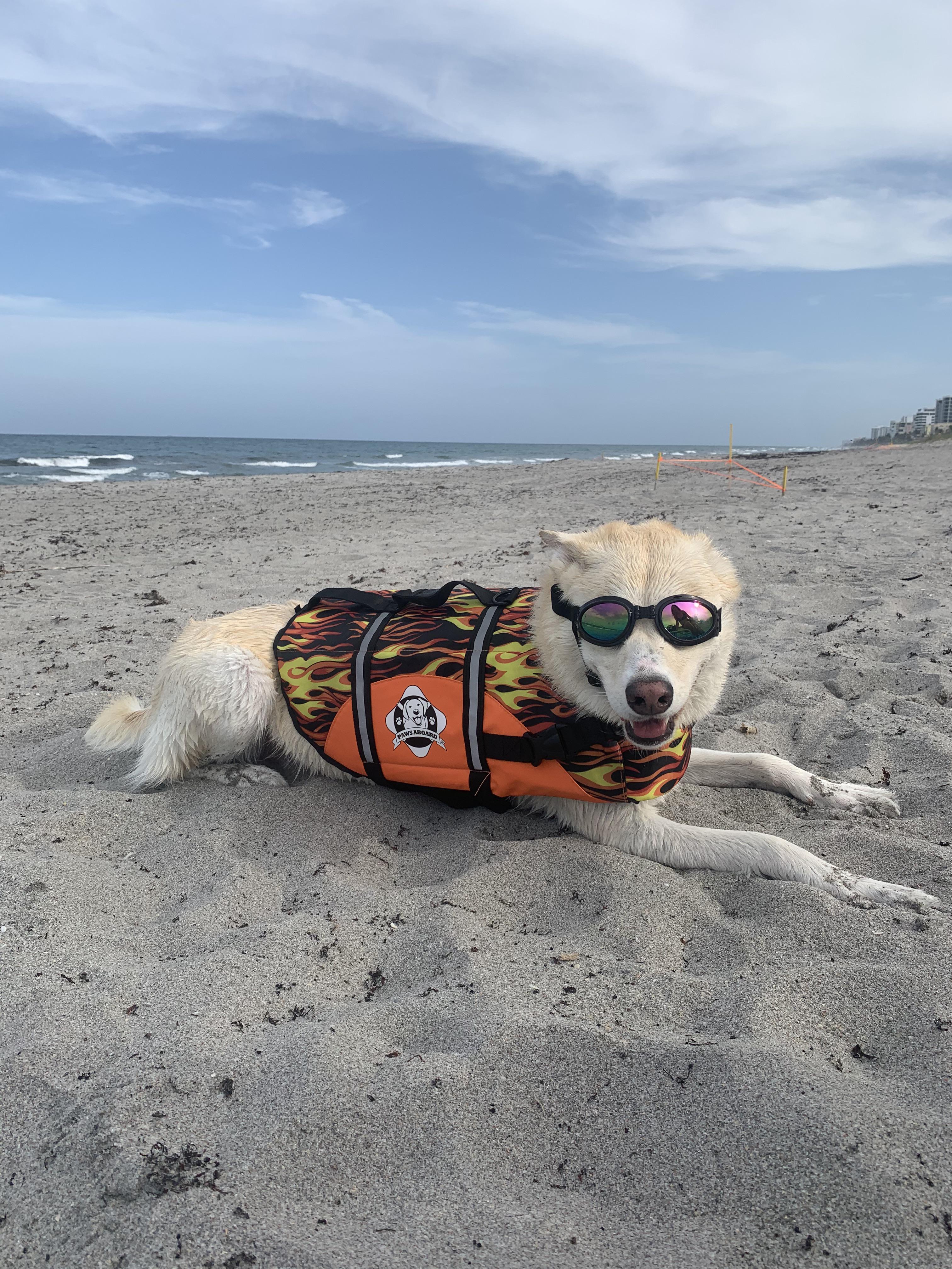 Welcome to Flavortown. Population: Murph | Scrolller