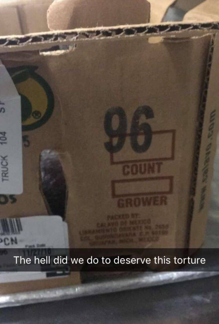 Welcome to Hell (OC) ((they were shitty avos too)) | Scrolller