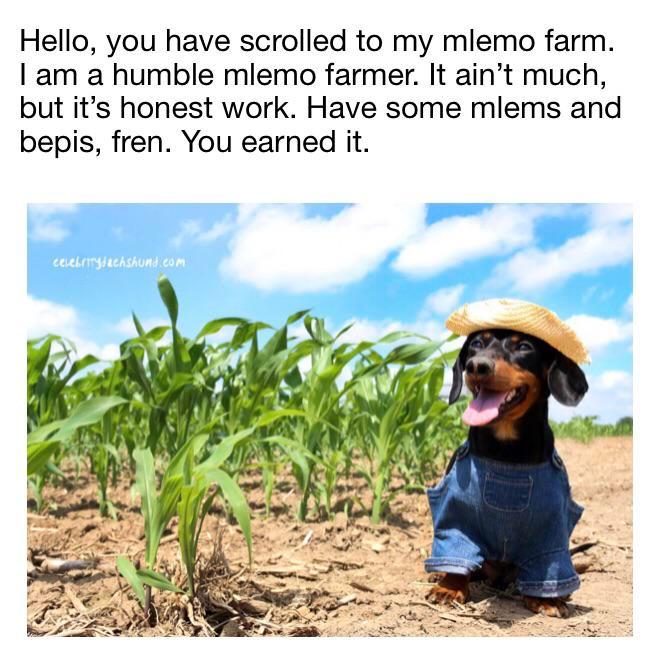 Welcome to my farm! | Scrolller