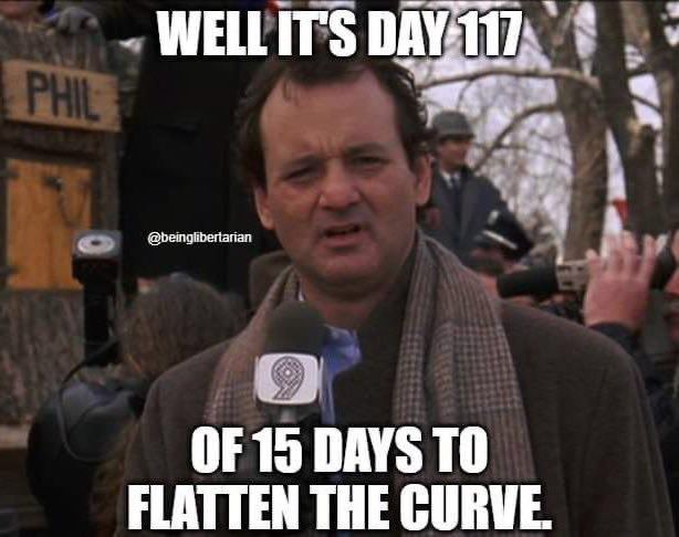 Welcome to the new reality | Scrolller