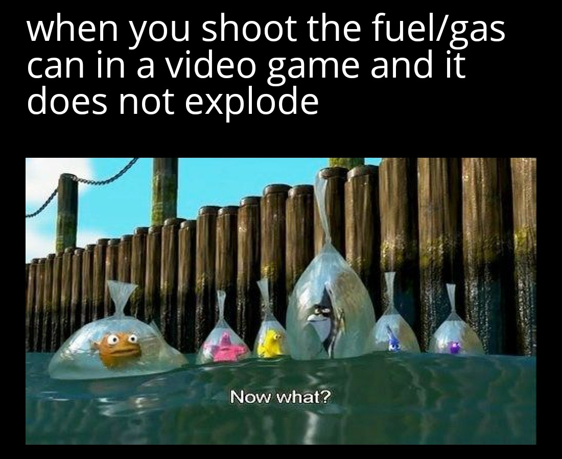 Well seriously what now? | Scrolller