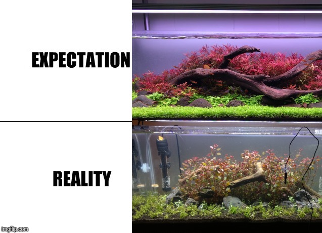 Well shit.... | Scrolller