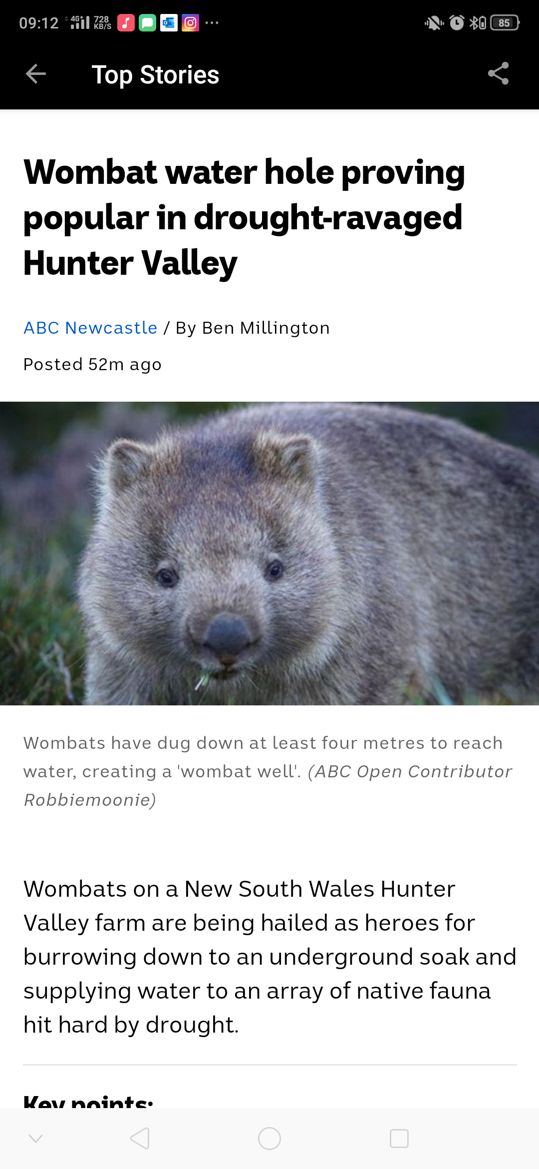 Well well well Wombats! | Scrolller