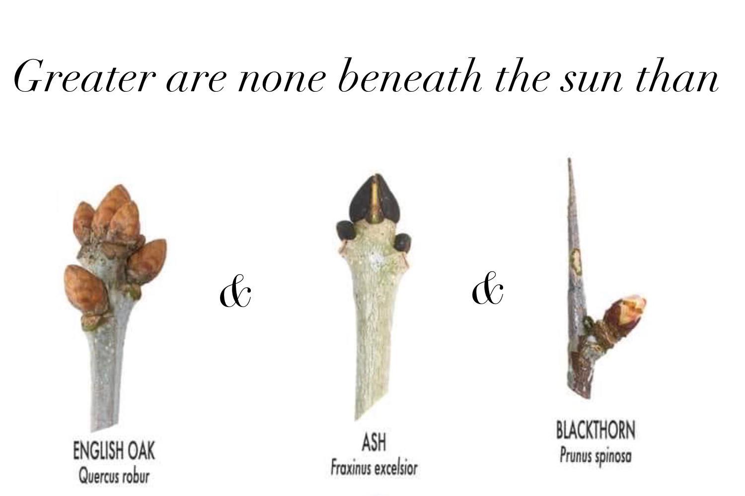 Wellerman’s good, but here’s the real OG | Scrolller