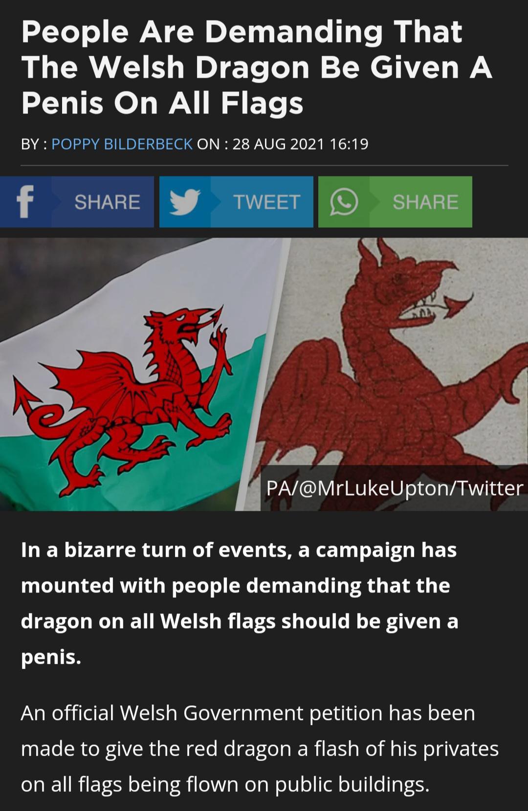 Welsh_IRL | Scrolller