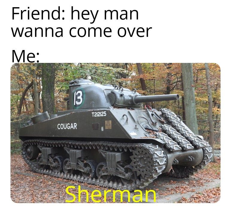 We're playing WW2 | Scrolller