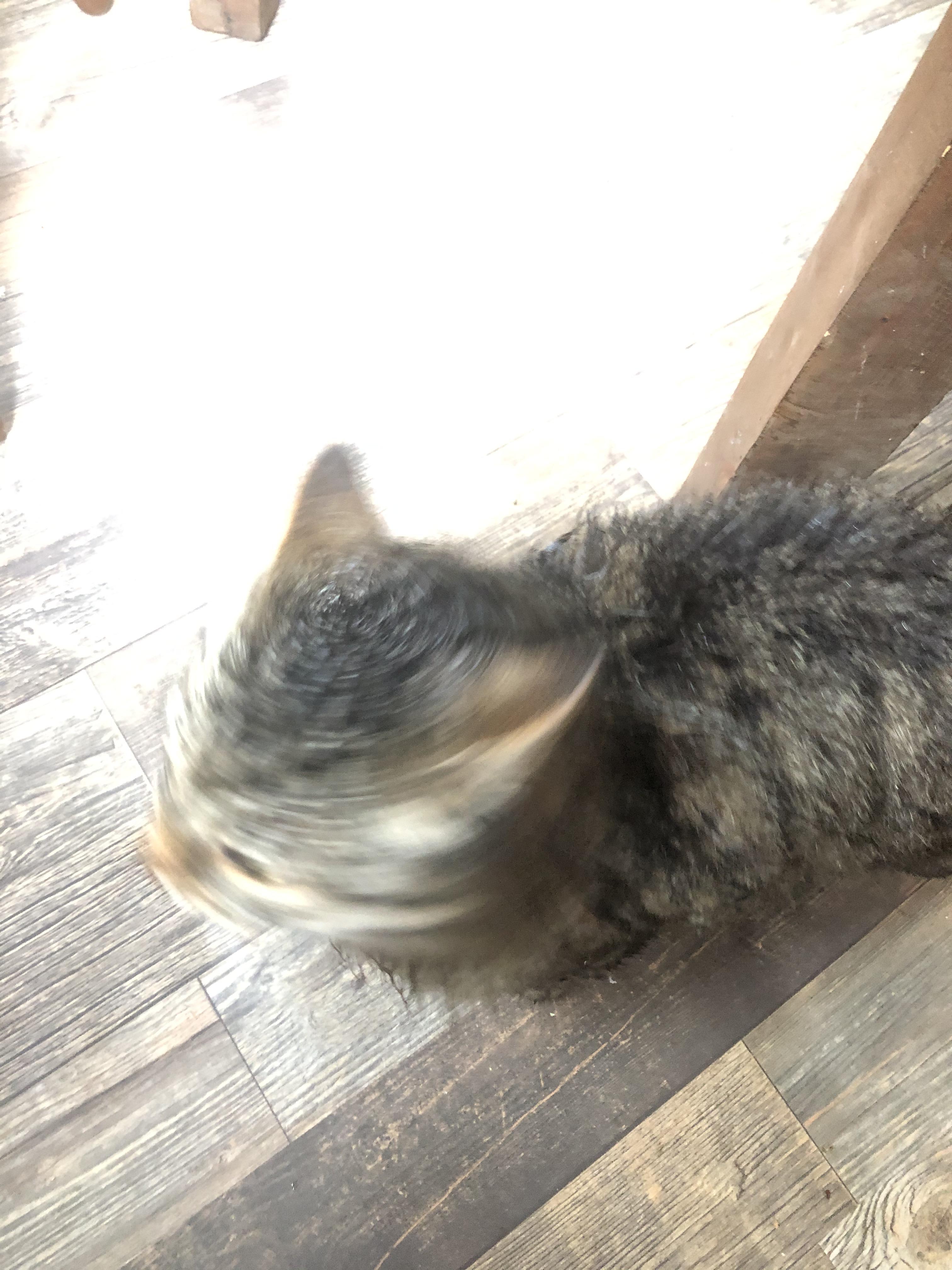 Wet drill. | Scrolller