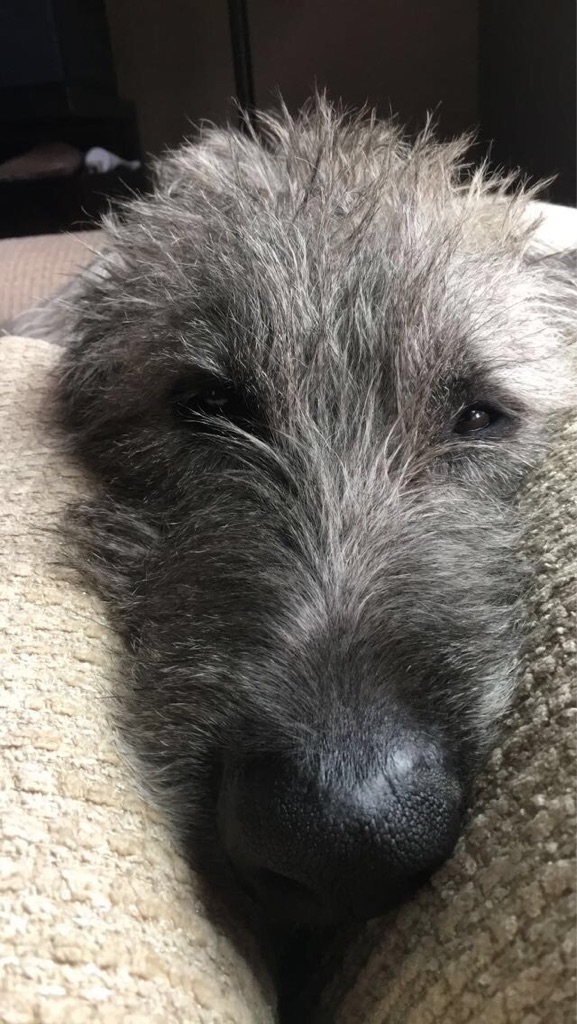 What a big nose you have | Scrolller