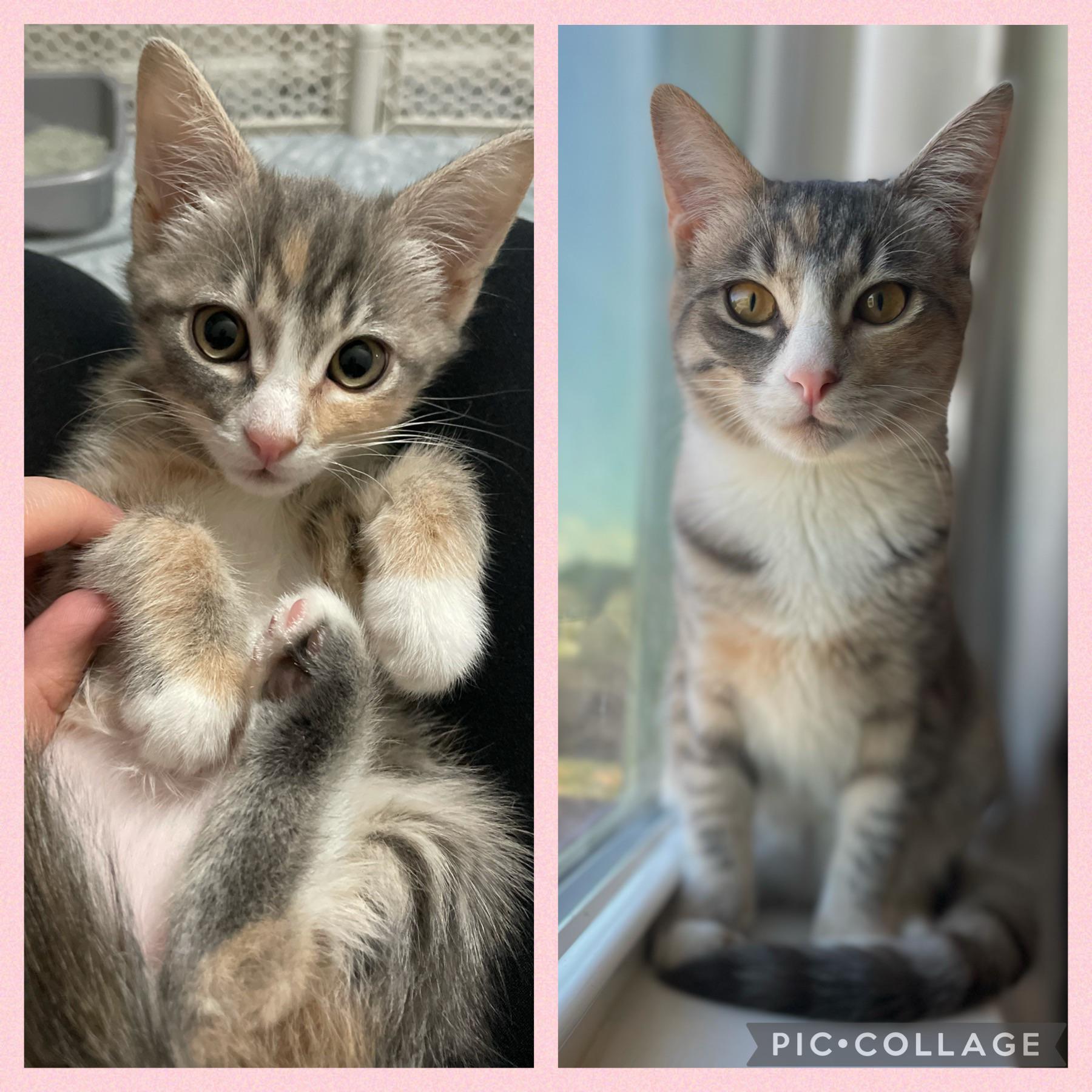 What a difference 3 months makes! | Scrolller