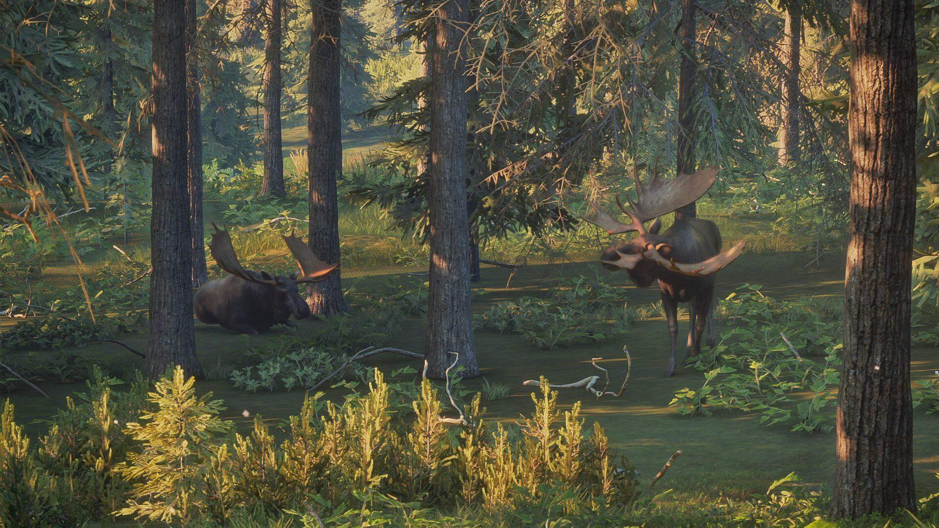 What a sight ! | Scrolller