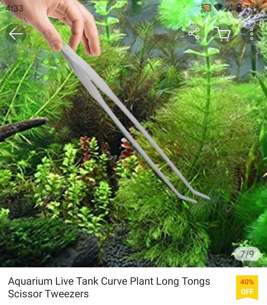 What dainty hand... | Scrolller