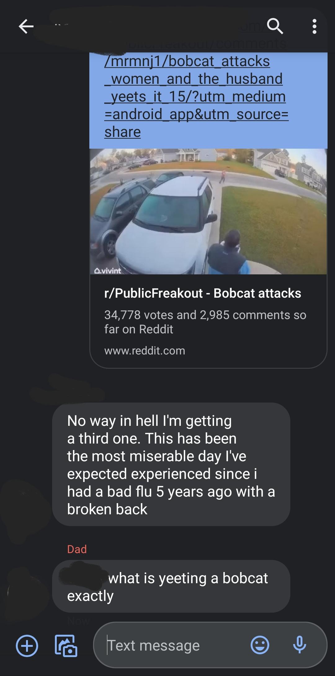 What exactly is a yeet? | Scrolller