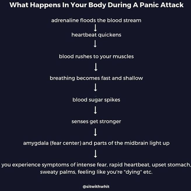 What Happens In Your Body During A Panic Attack | Scrolller