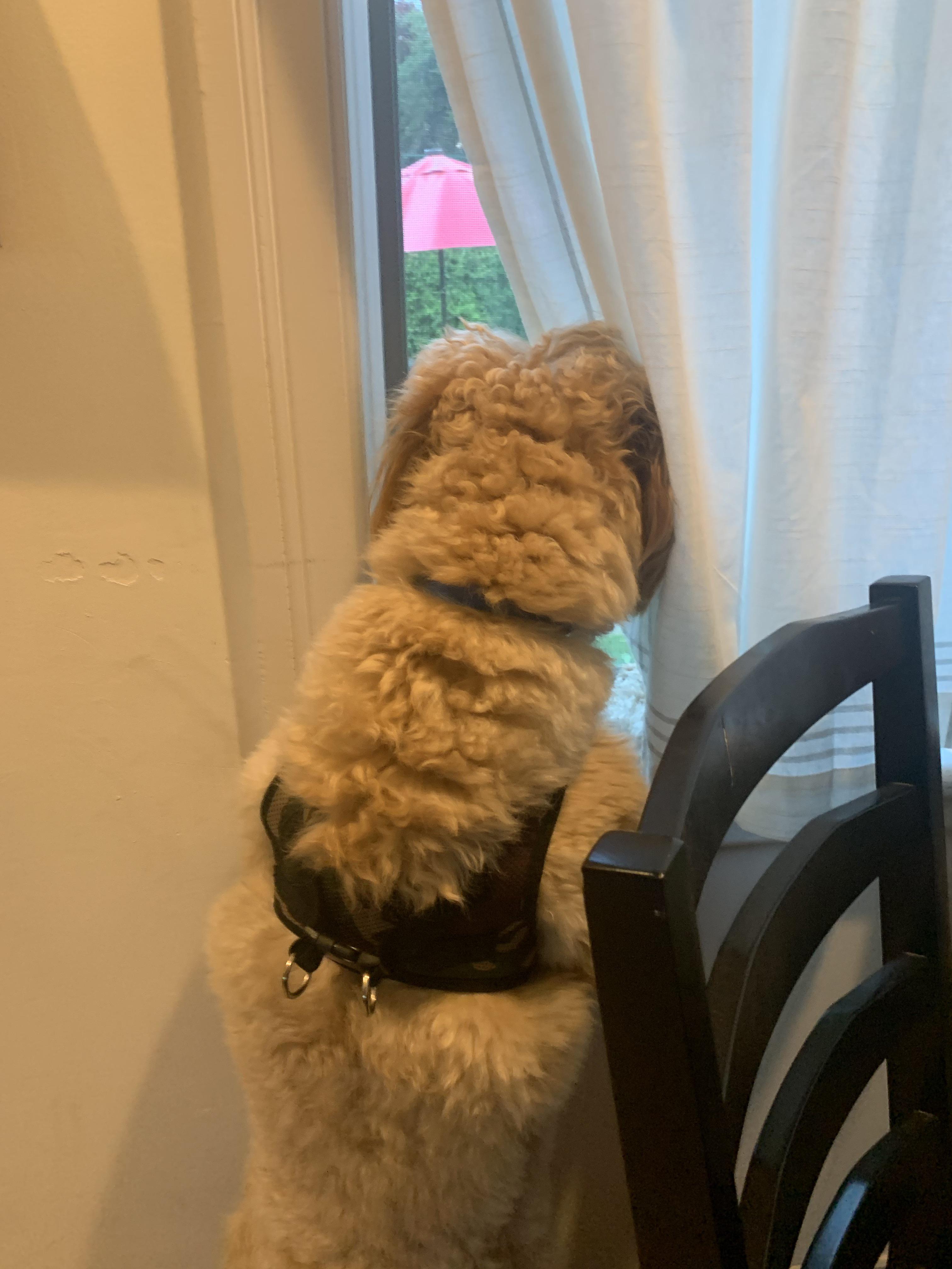 What he lookin at doe??? | Scrolller