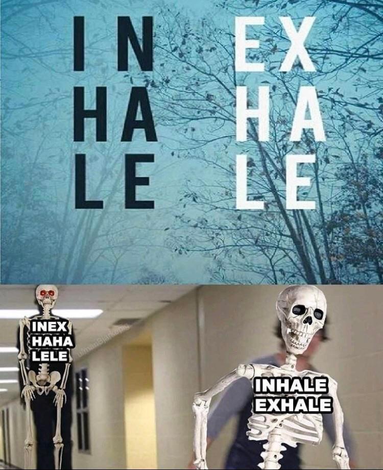 What is this ahhhh | Scrolller