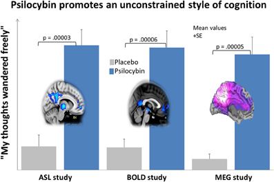 What Psilocybin Does to your brain | Scrolller
