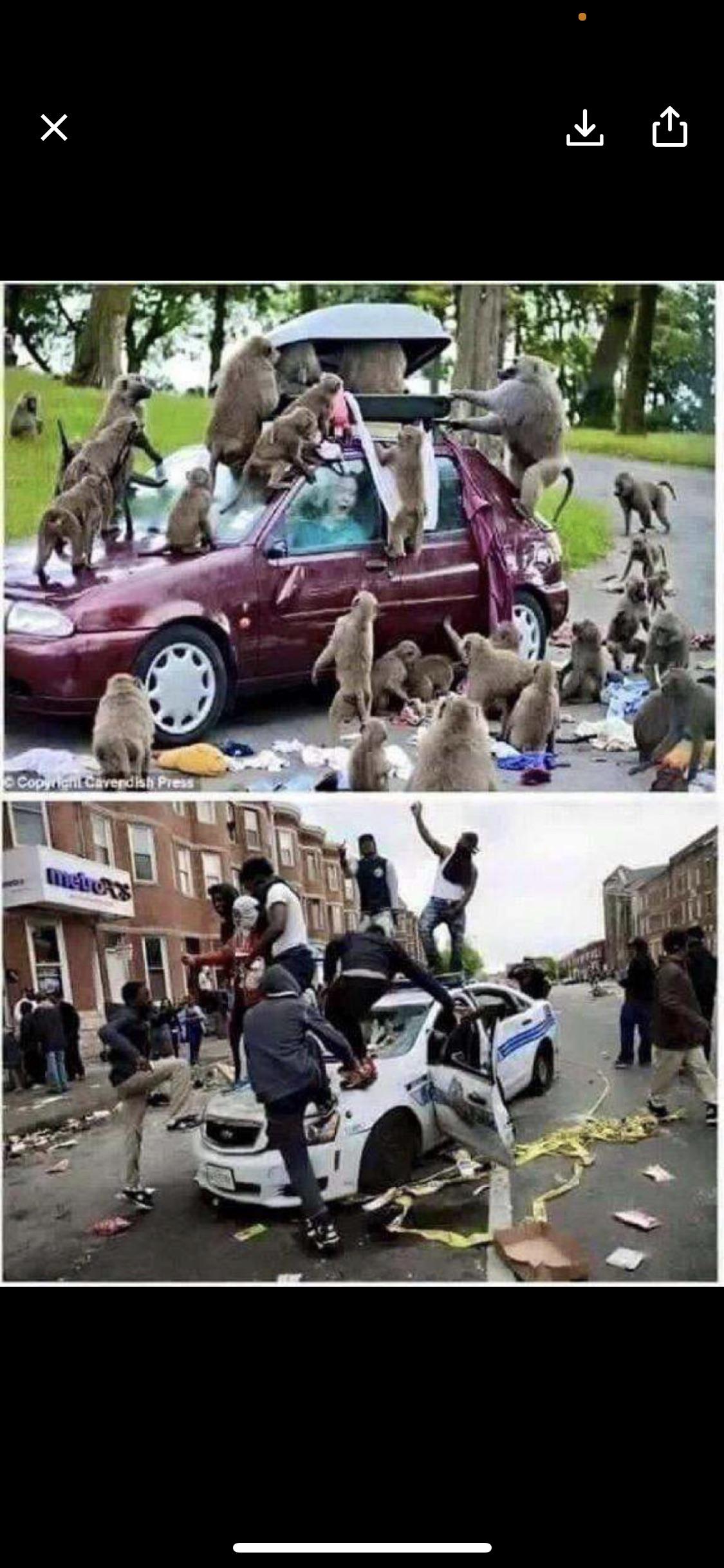 What’s the difference | Scrolller