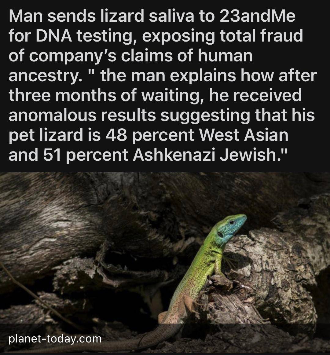 What’s up lizards? | Scrolller