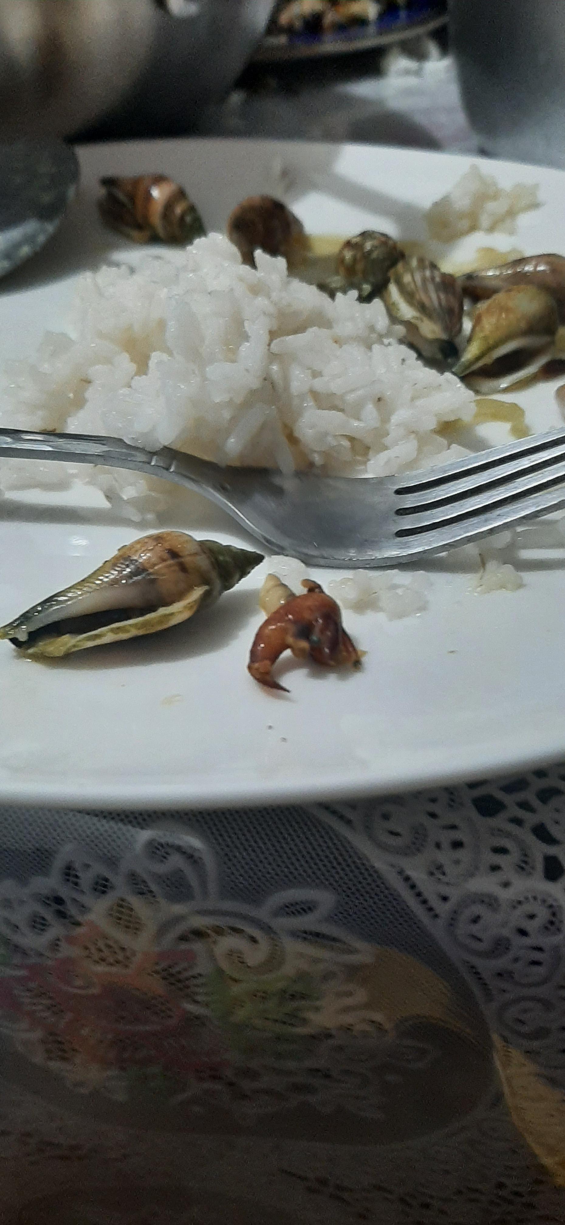 What's inside of the seashells | Scrolller