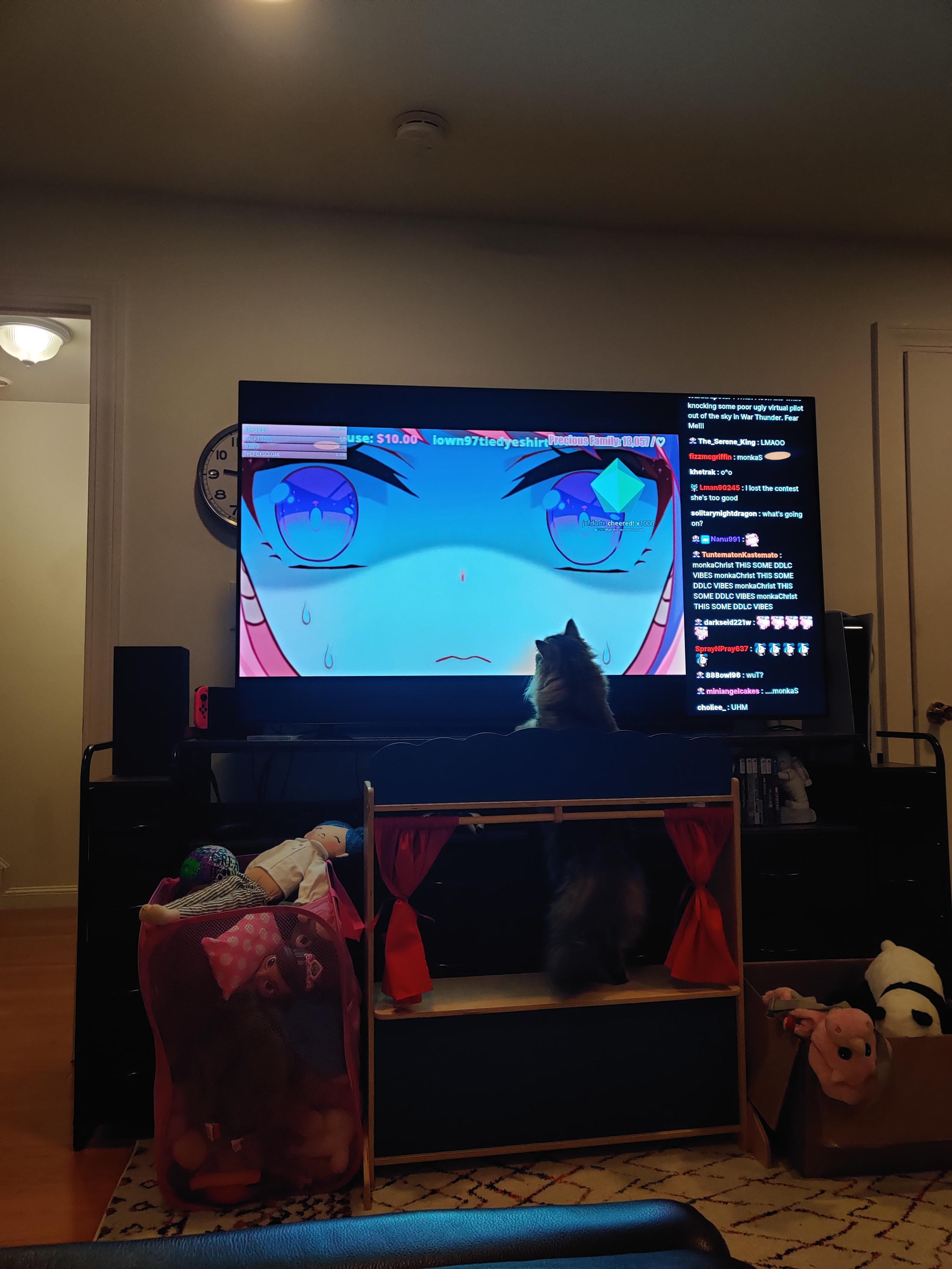 When a cat sees a mouse | Scrolller