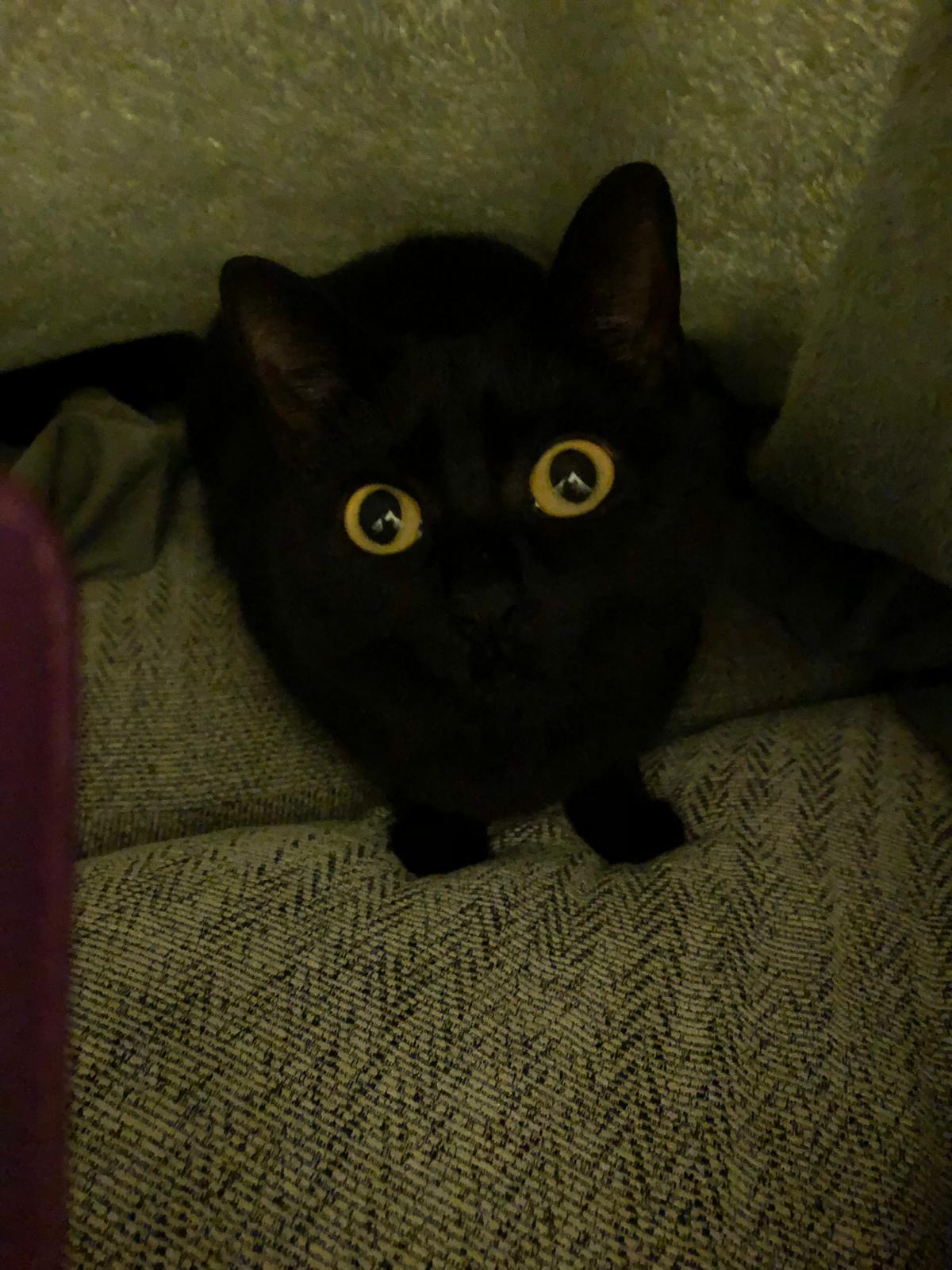 When the void stares back | Scrolller