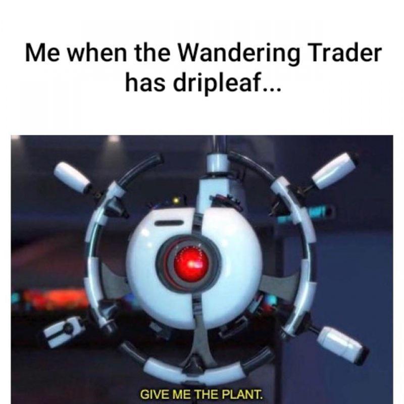 When the Wandering Trader has a new use | Scrolller