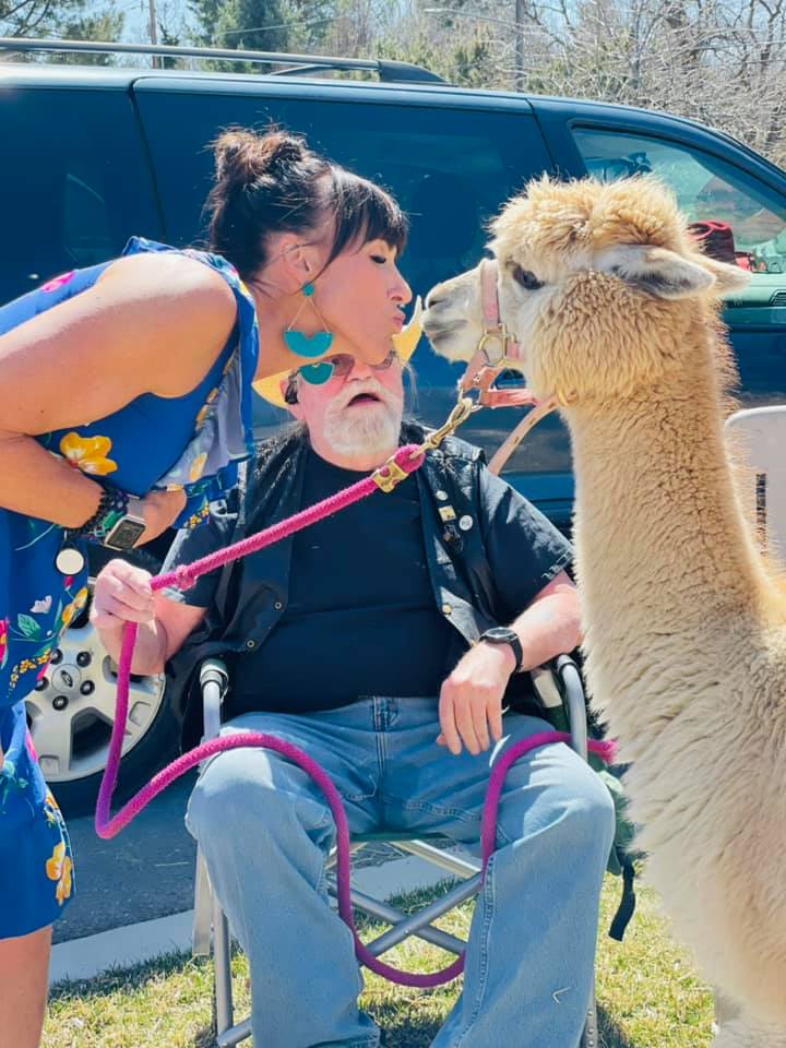 When you see the incoming Alpaca-lypse | Scrolller