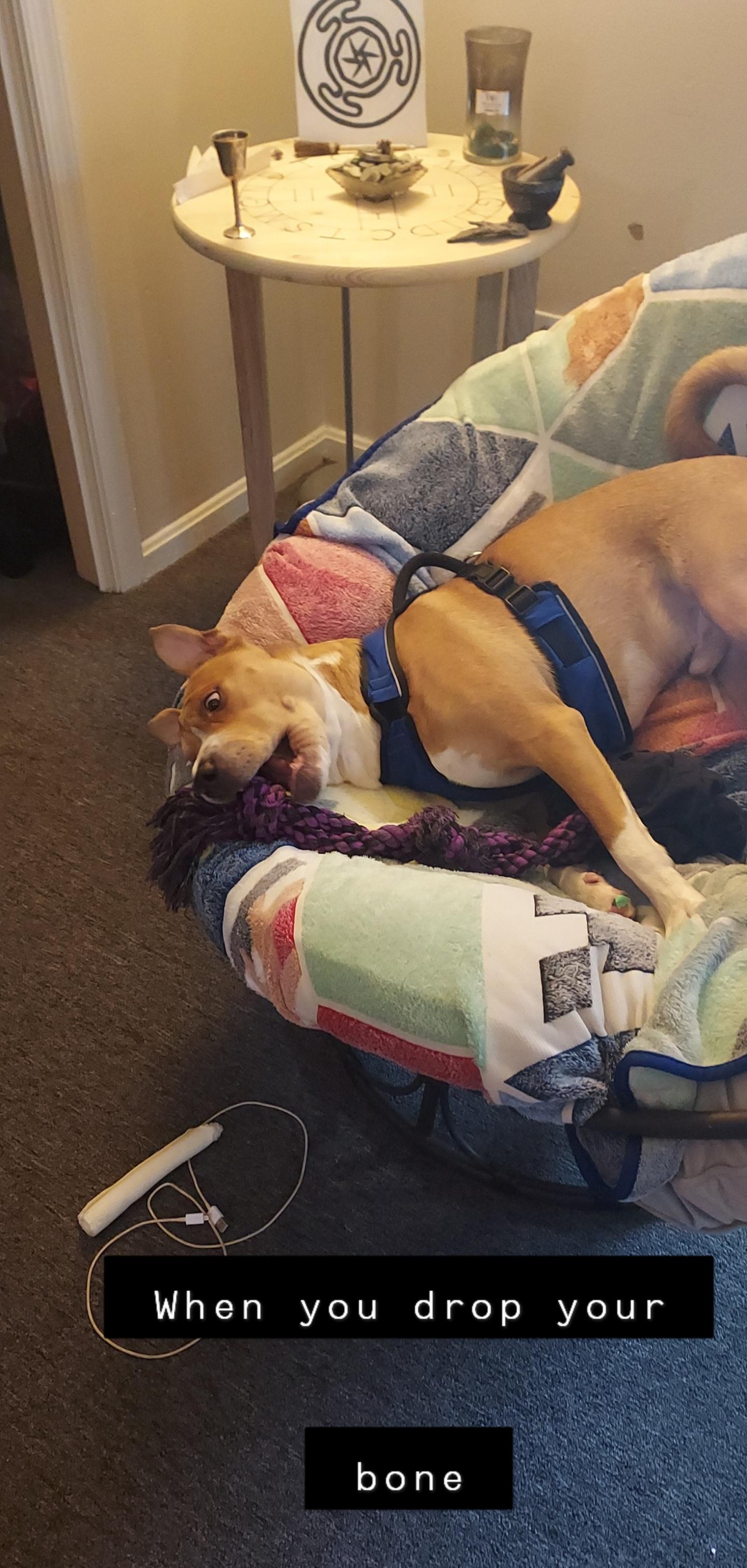 When your perfectly comfy and drop the remote | Scrolller