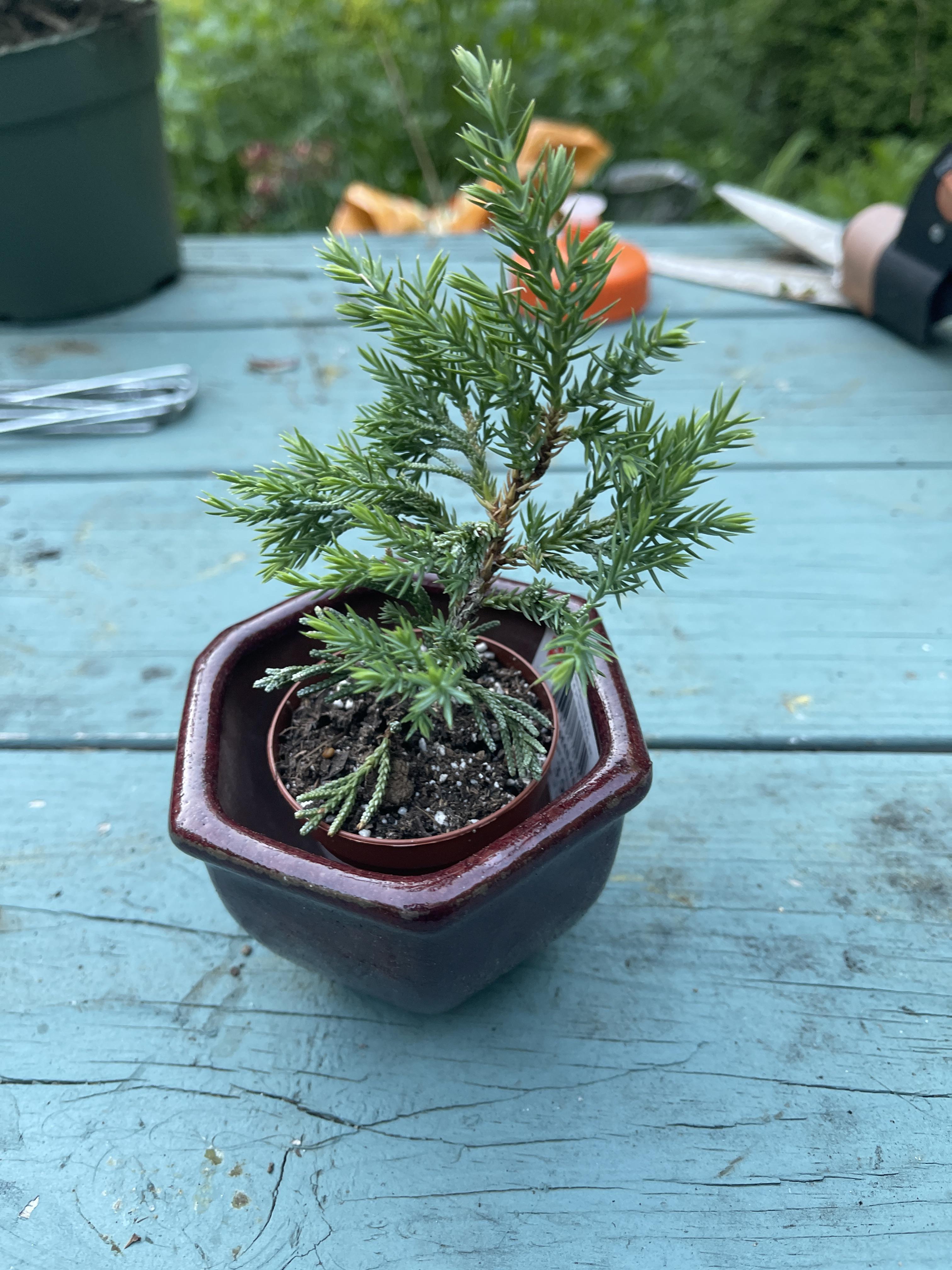 Where do I start??? | Scrolller