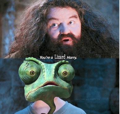 where it ALL Began. | Scrolller