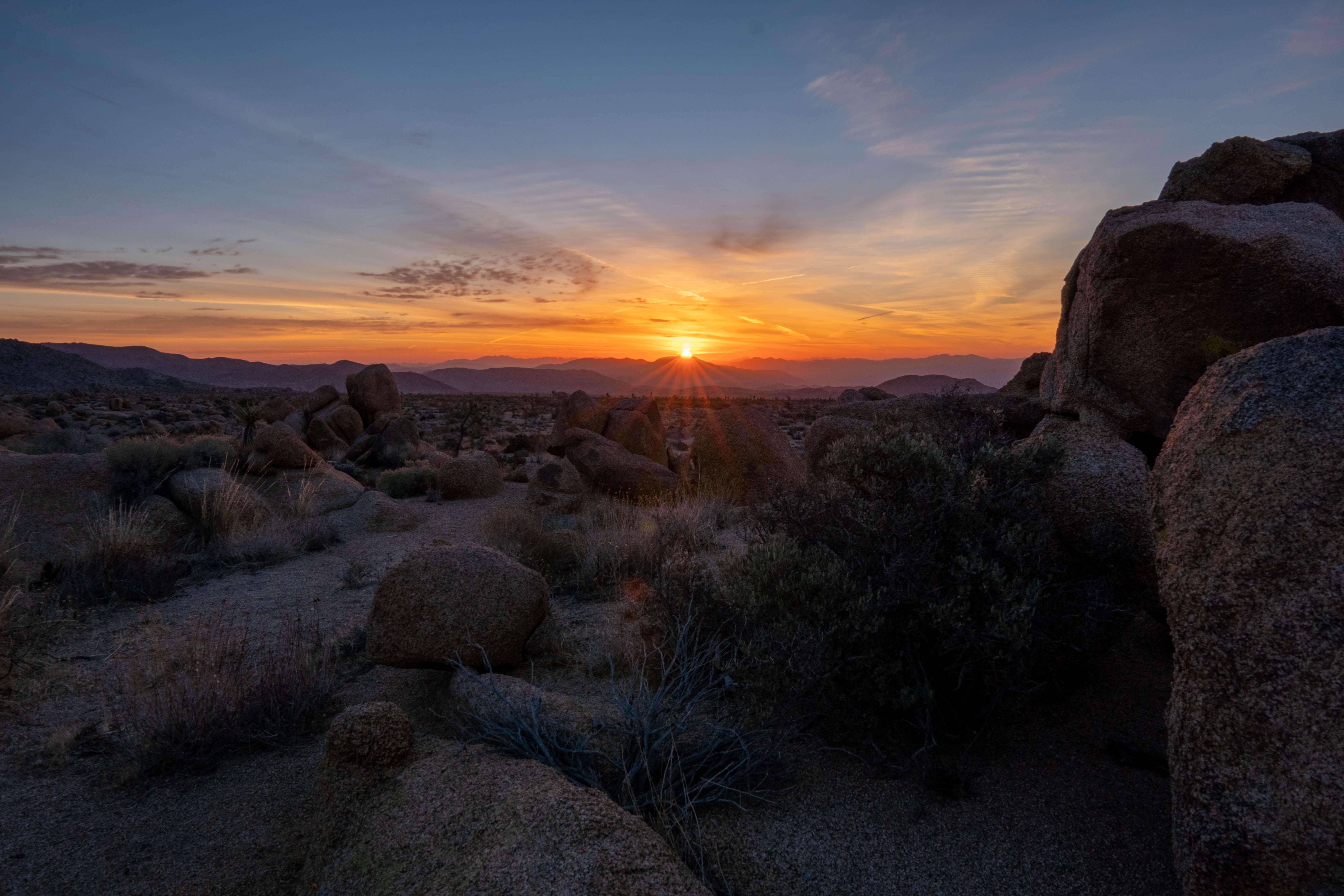 Where the Sonoran and Mojave Deserts meet. [OC] | Scrolller