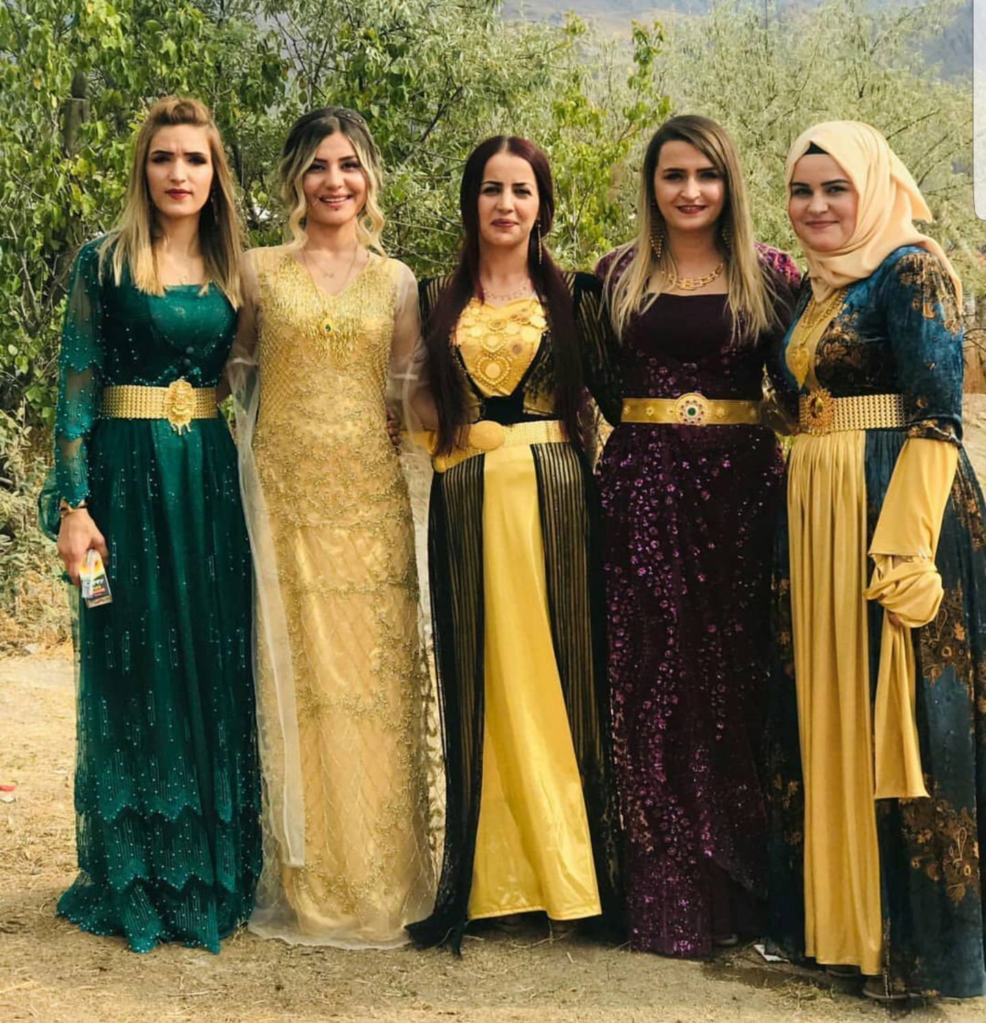 Which one and why | Scrolller