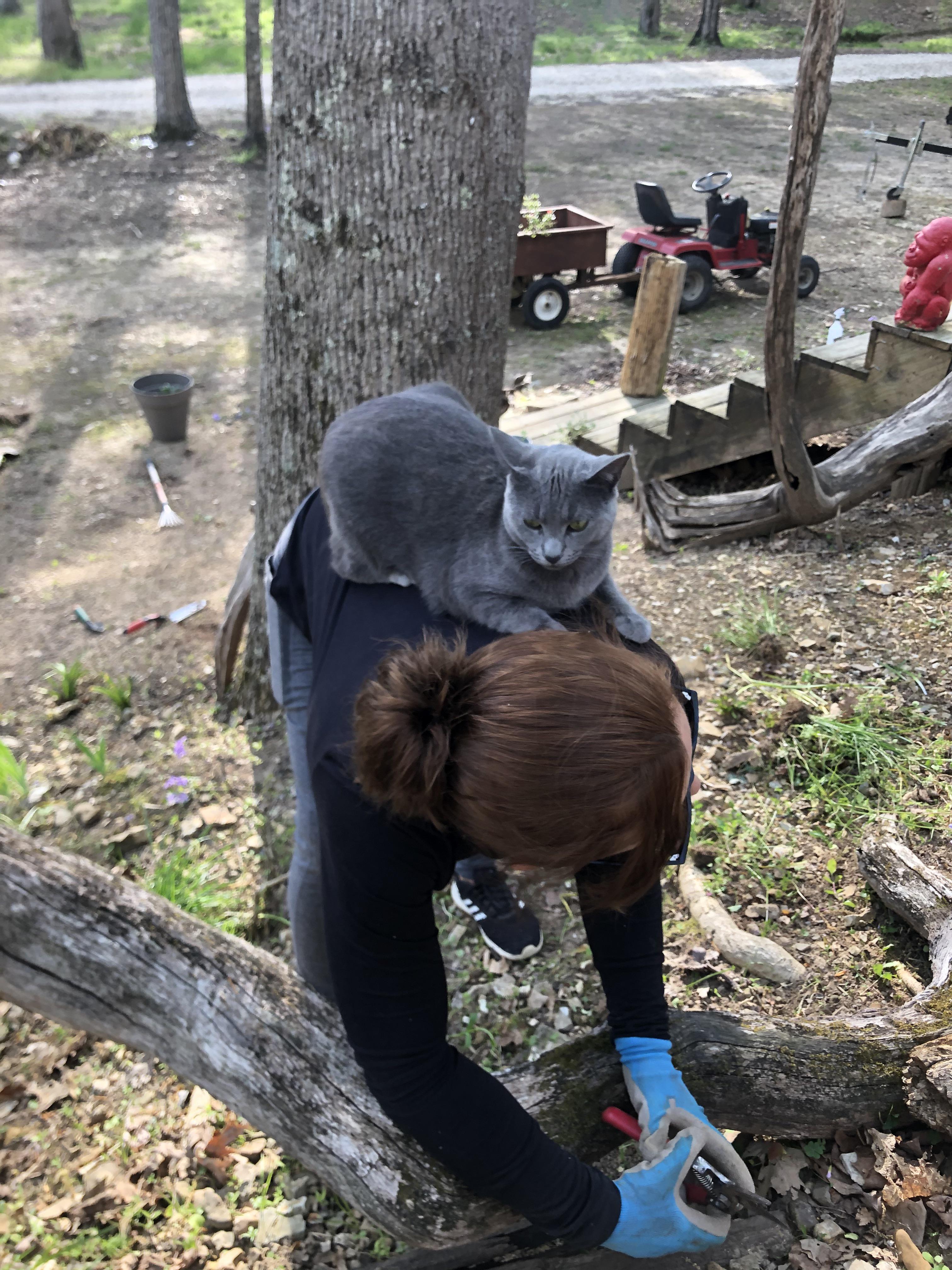 While she was bent over pulling weeds. | Scrolller