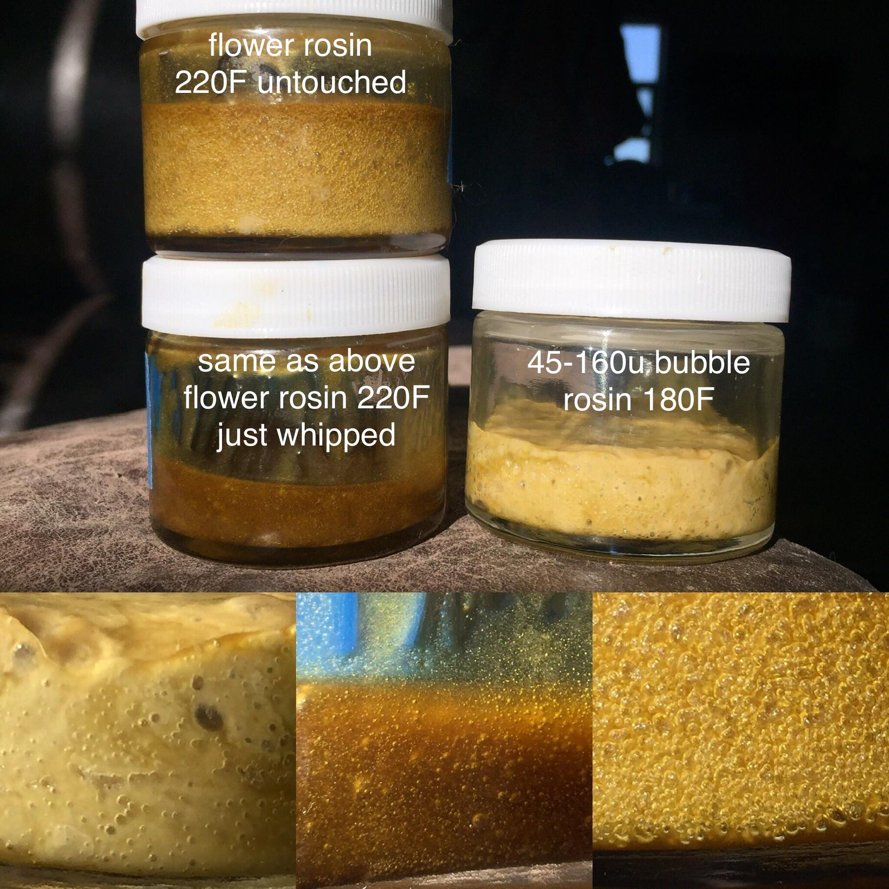 white fire tahoe flower va bubble rosin | Scrolller