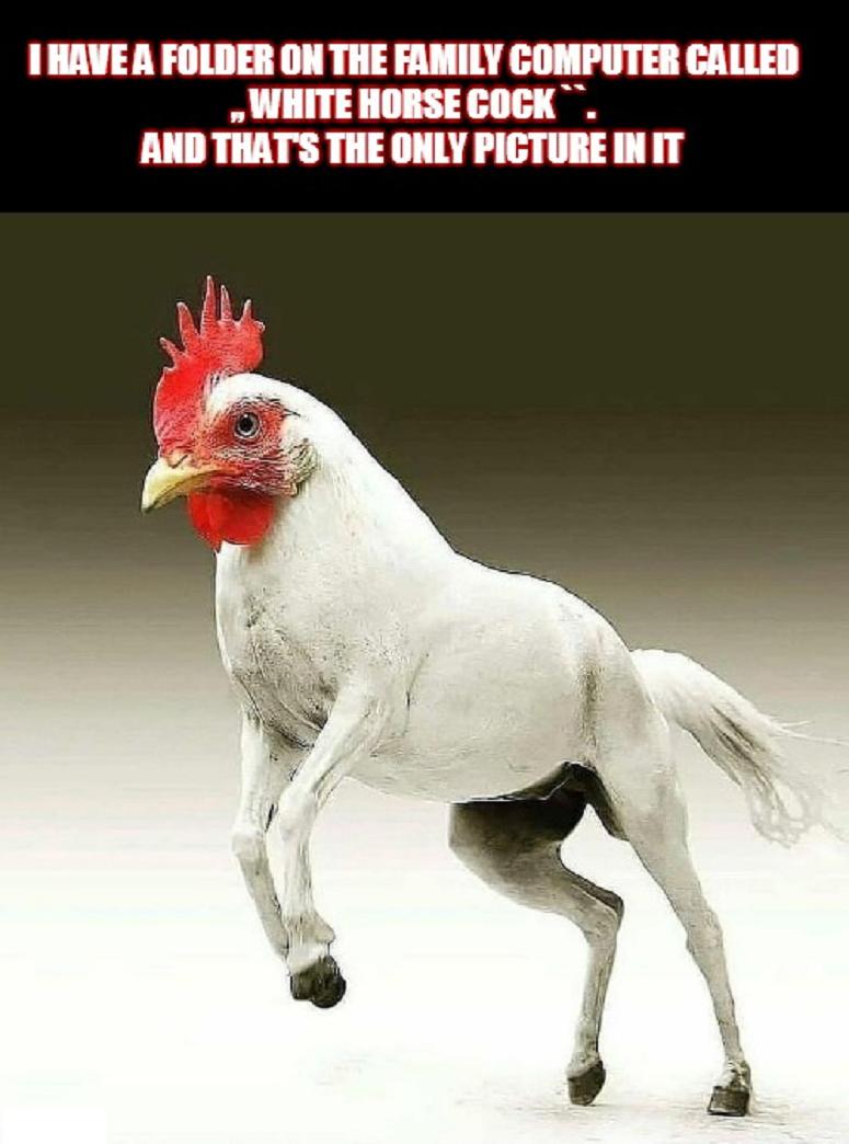 White Horse C🤫ck | Scrolller