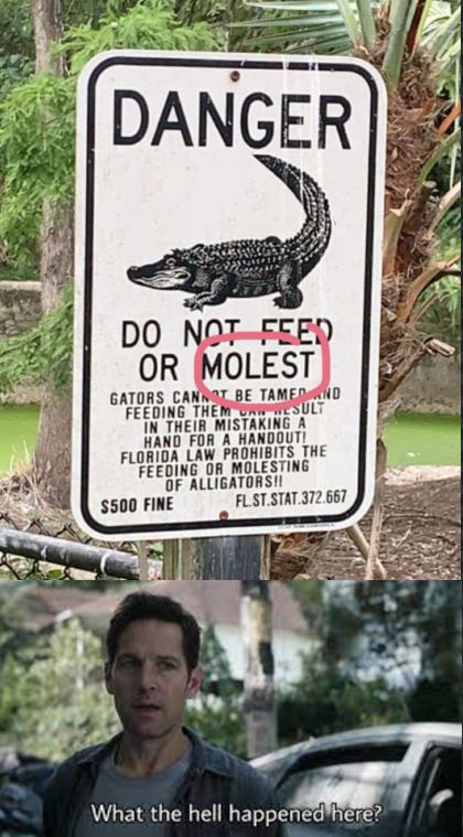 who dafuq molested the gators | Scrolller