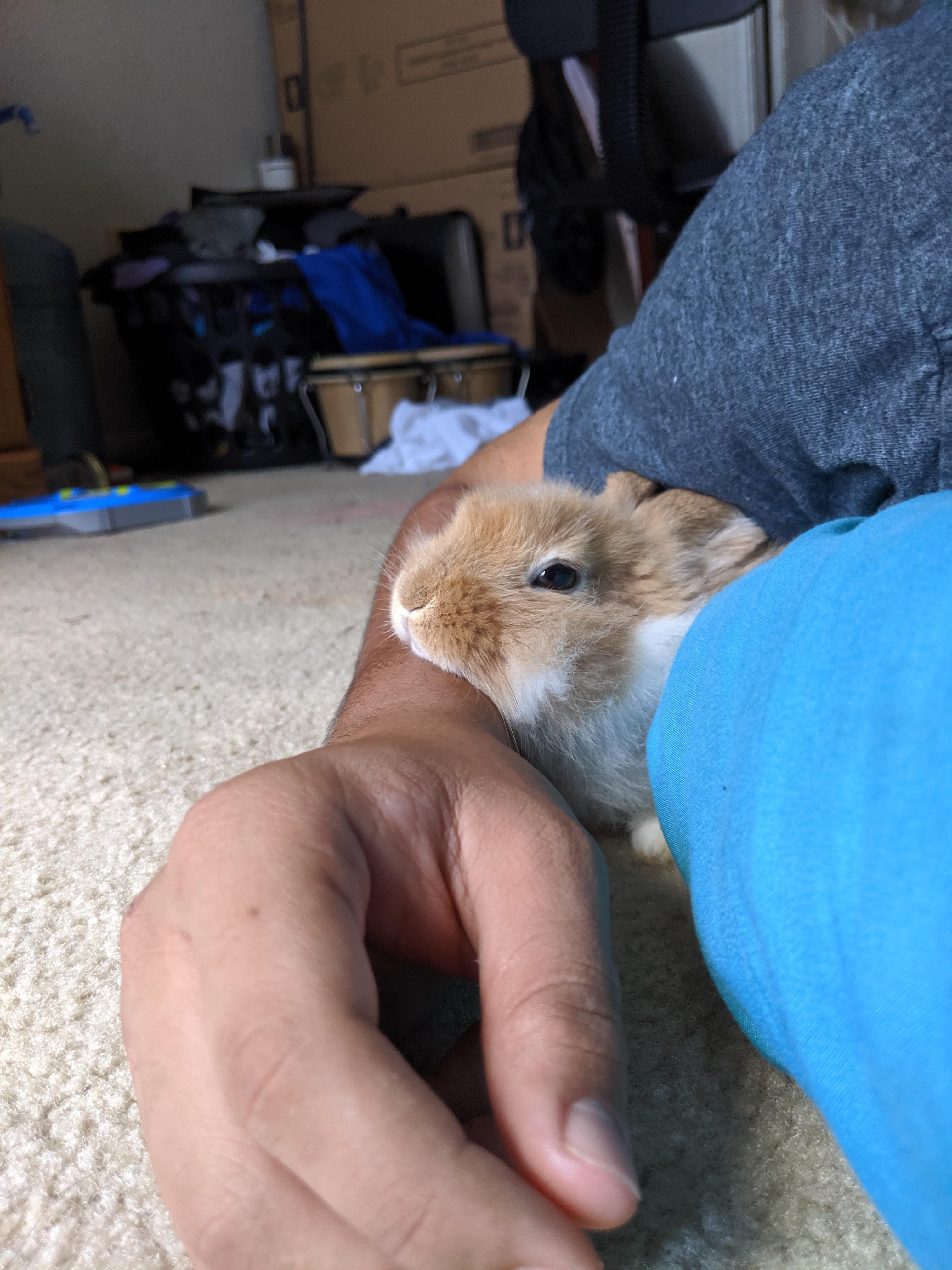 Who dares face me | Scrolller