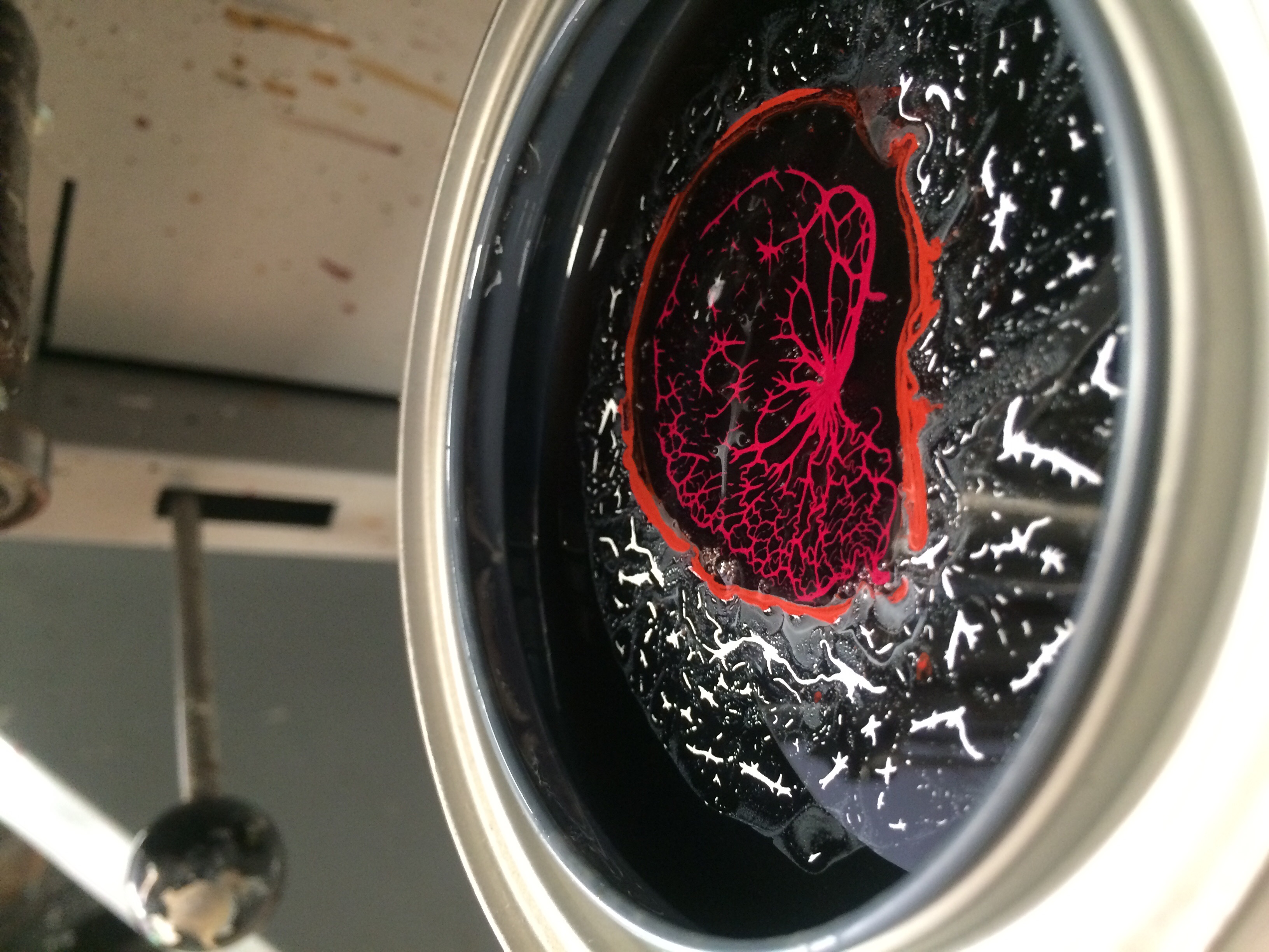 Who knew paint had a brain? | Scrolller