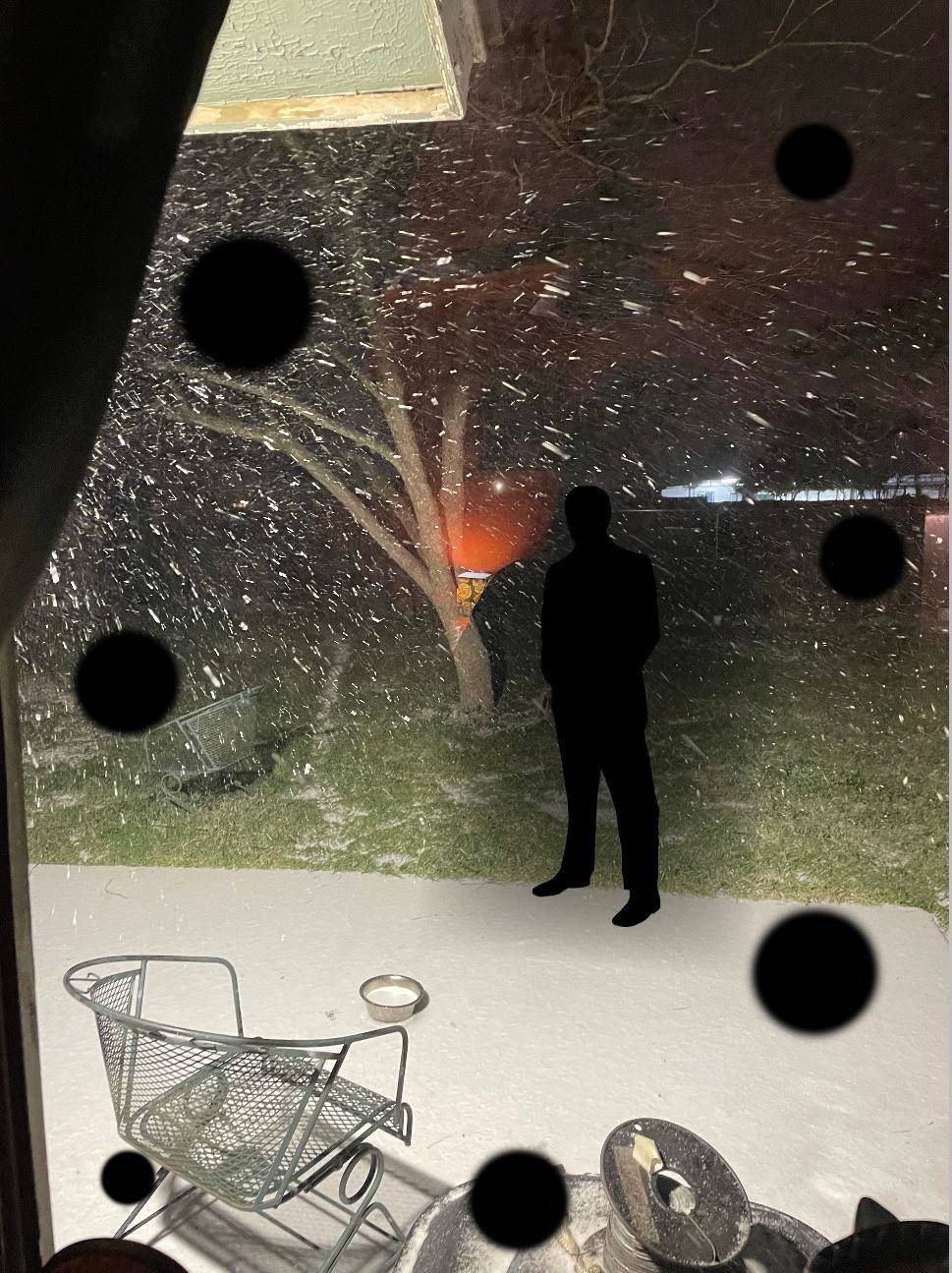 Who’s is at my backyard? | Scrolller